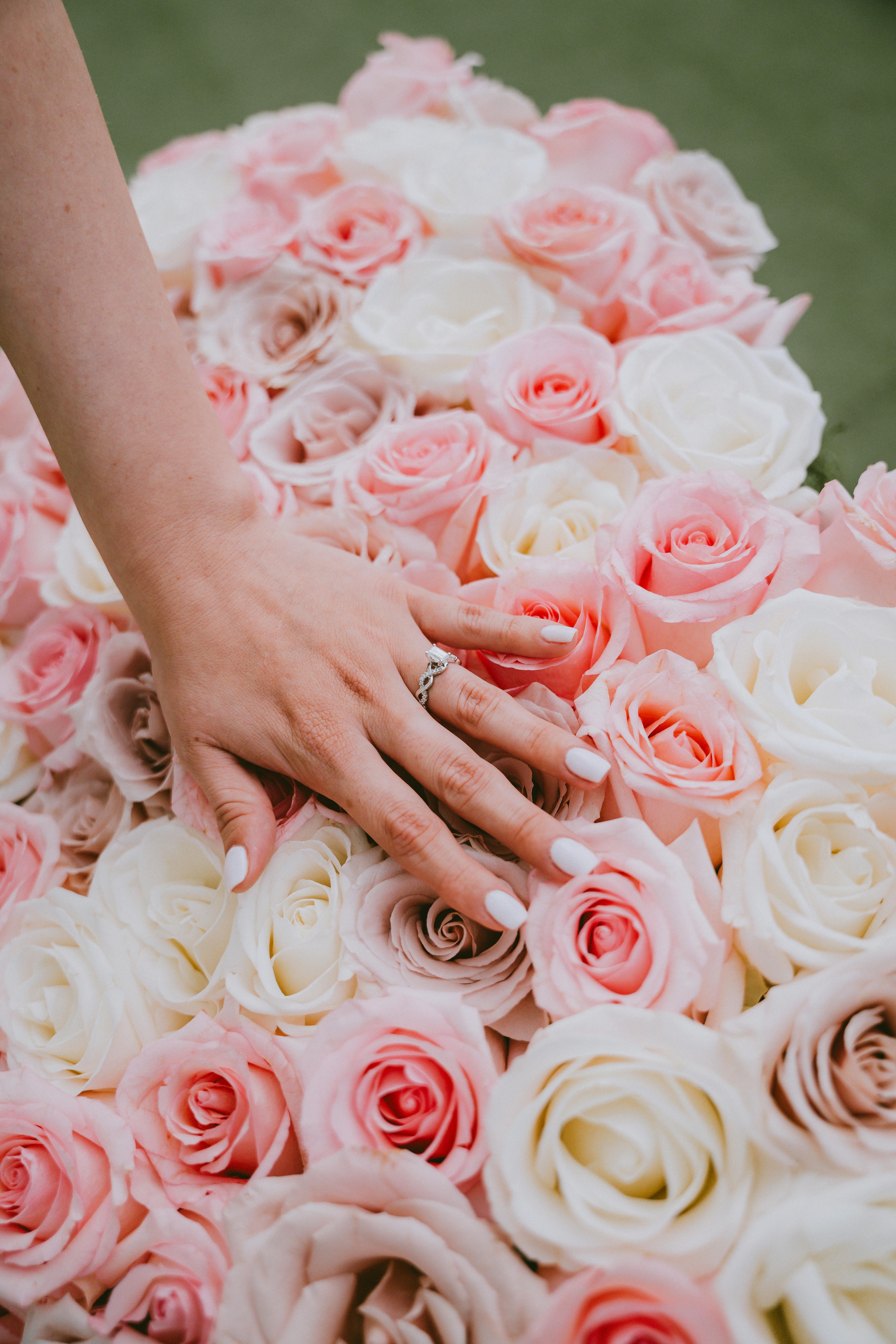 Beautiful Wedding Ring Photos, Download The BEST Free Beautiful Wedding ...