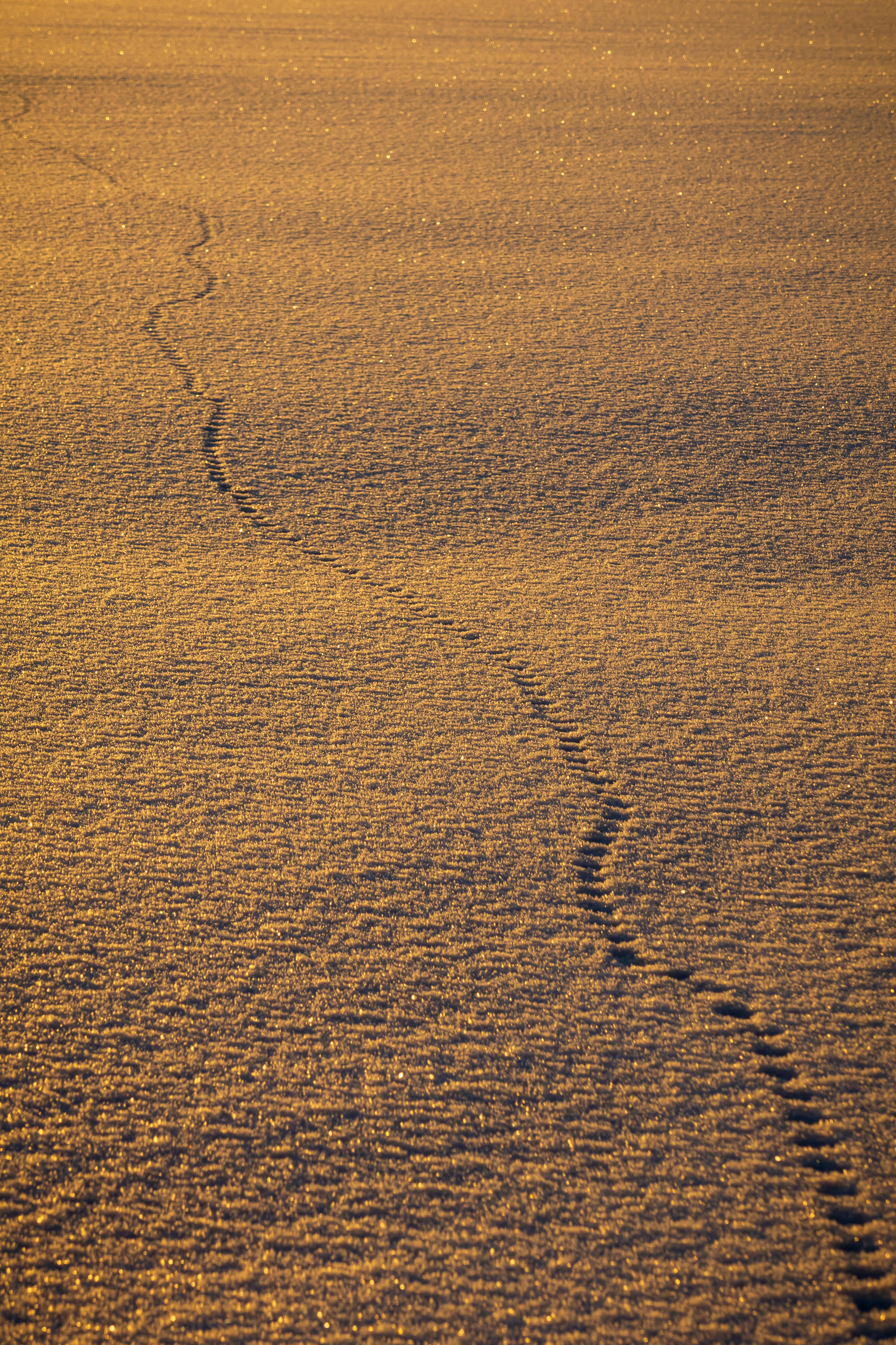 Pathway In Wide Landscape Photos, Download The BEST Free Pathway In ...