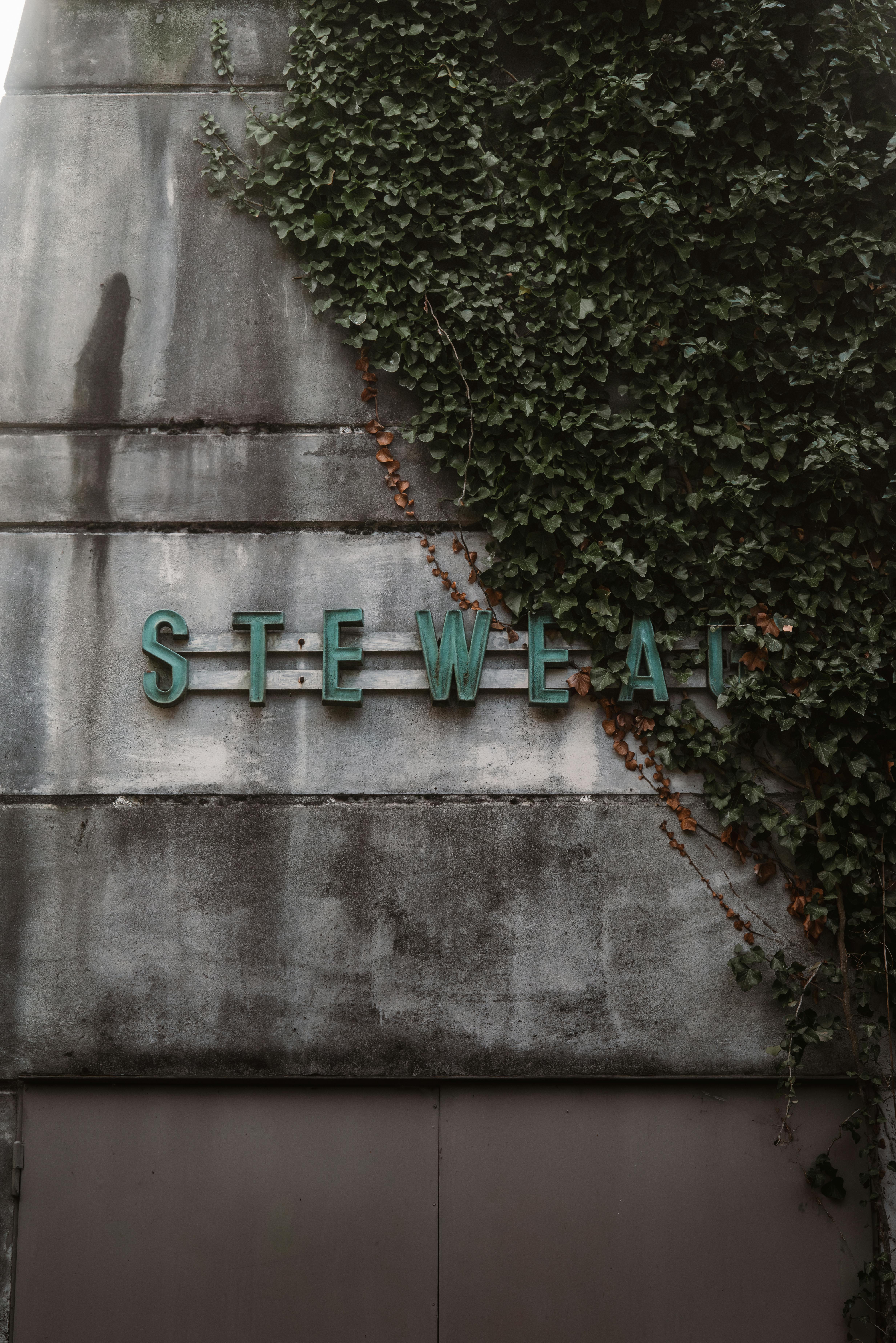 Urban Building with Ivy and Weathered Signage · Free Stock Photo