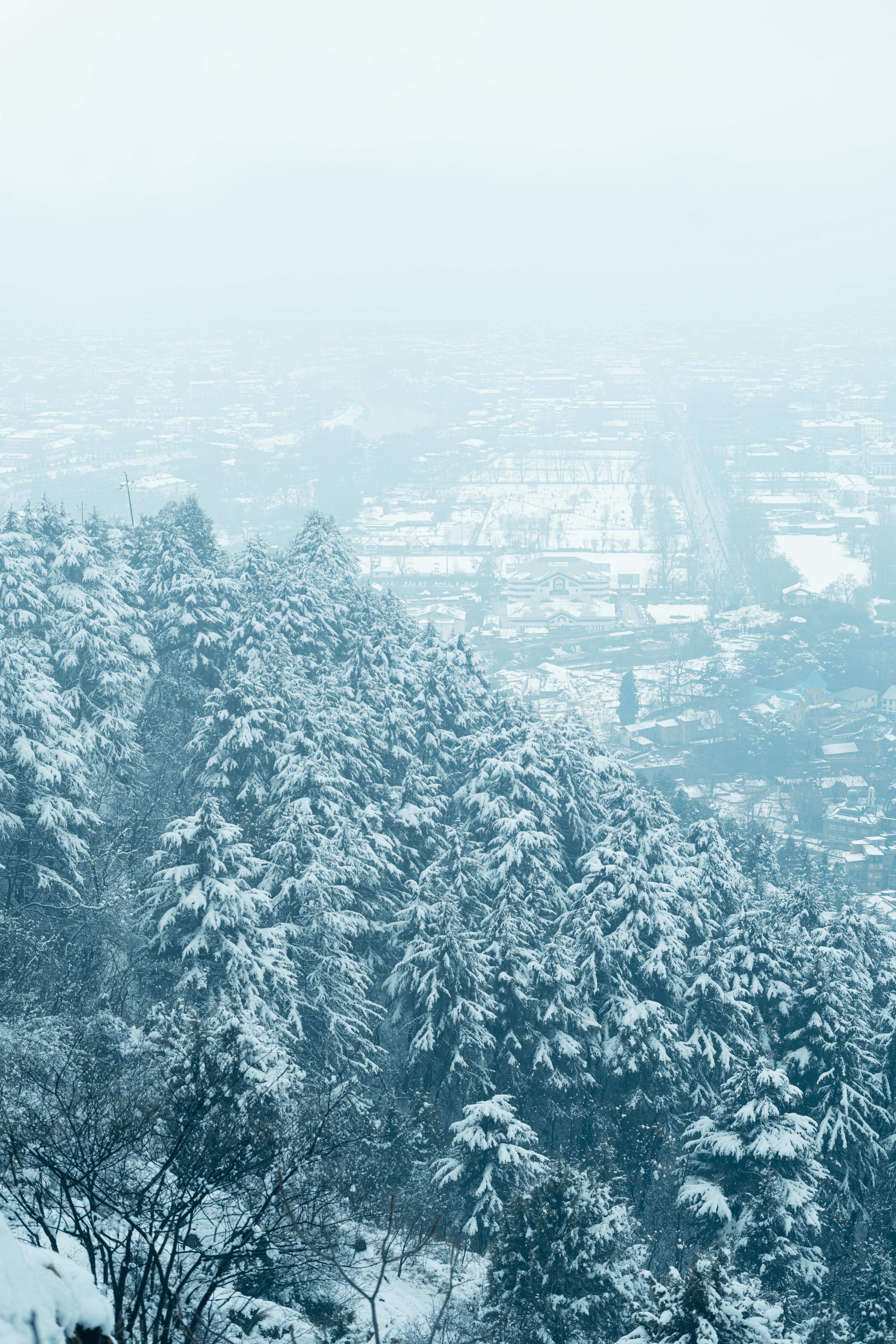 Breathtaking Winter Snowscape in Srinagar · Free Stock Photo