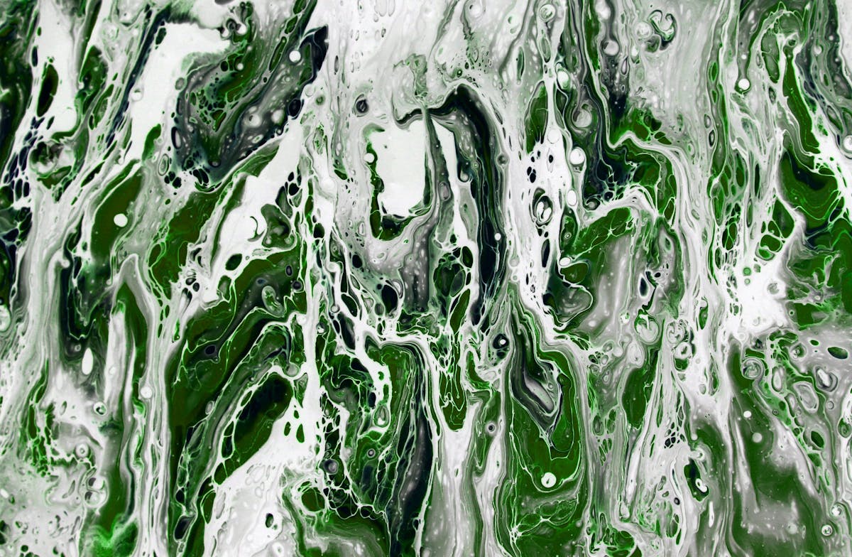 Color: Green Photos, Download The BEST Free Color: Green Stock Photos ...