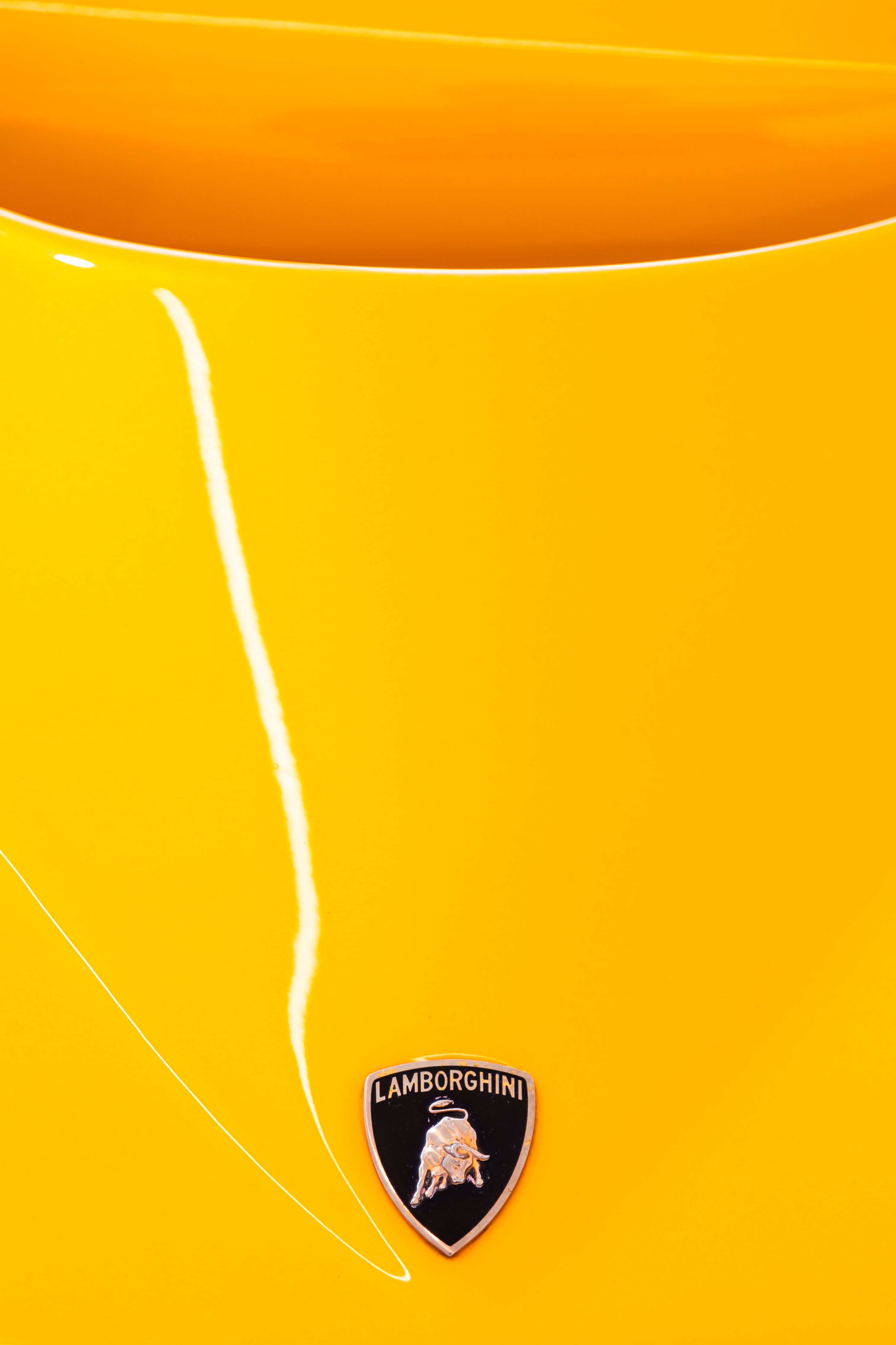 Close-Up of Yellow Lamborghini Hood Emblem · Free Stock Photo