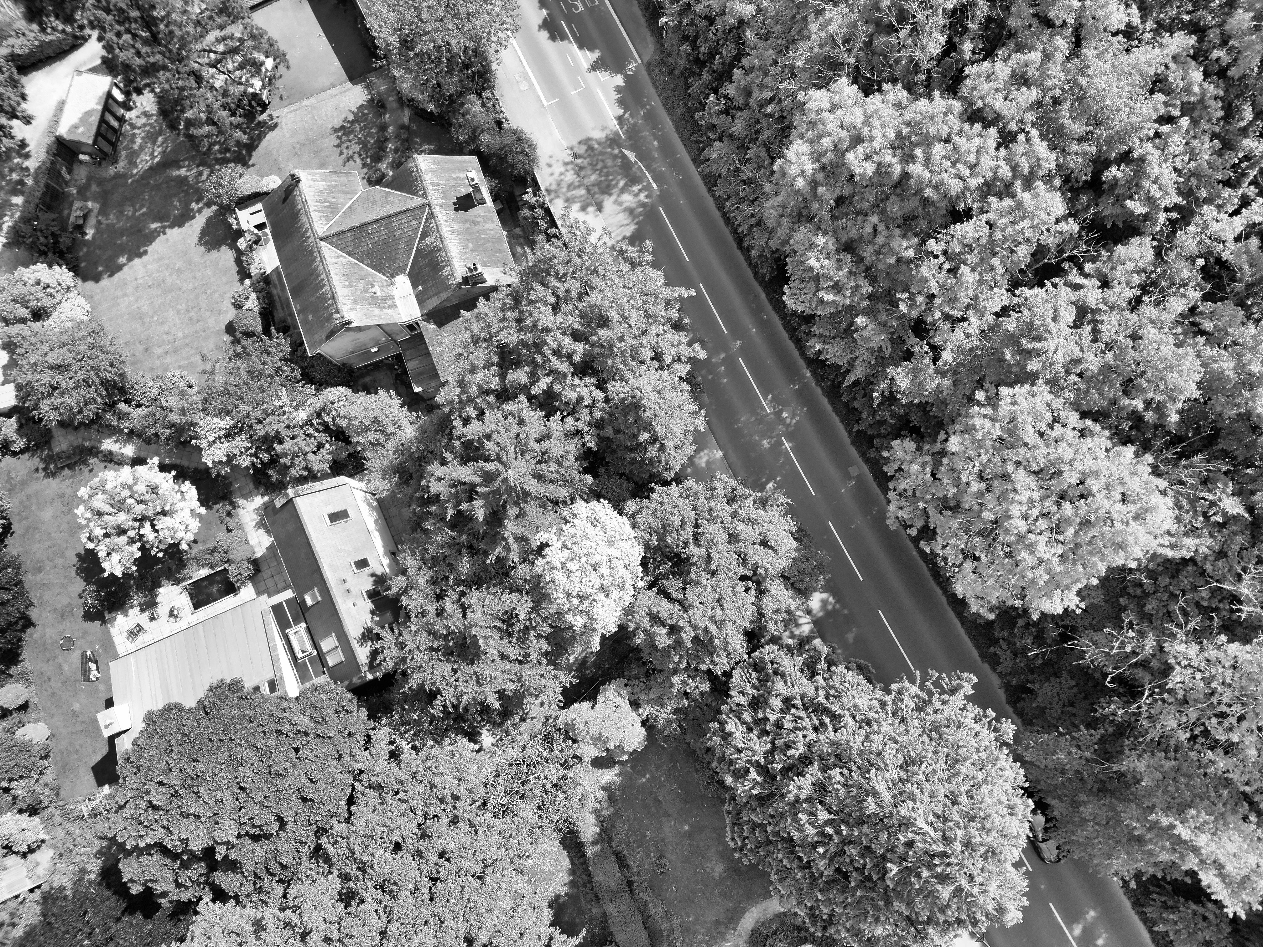 Aerial View of Trees and Houses Along a Road · Free Stock Photo