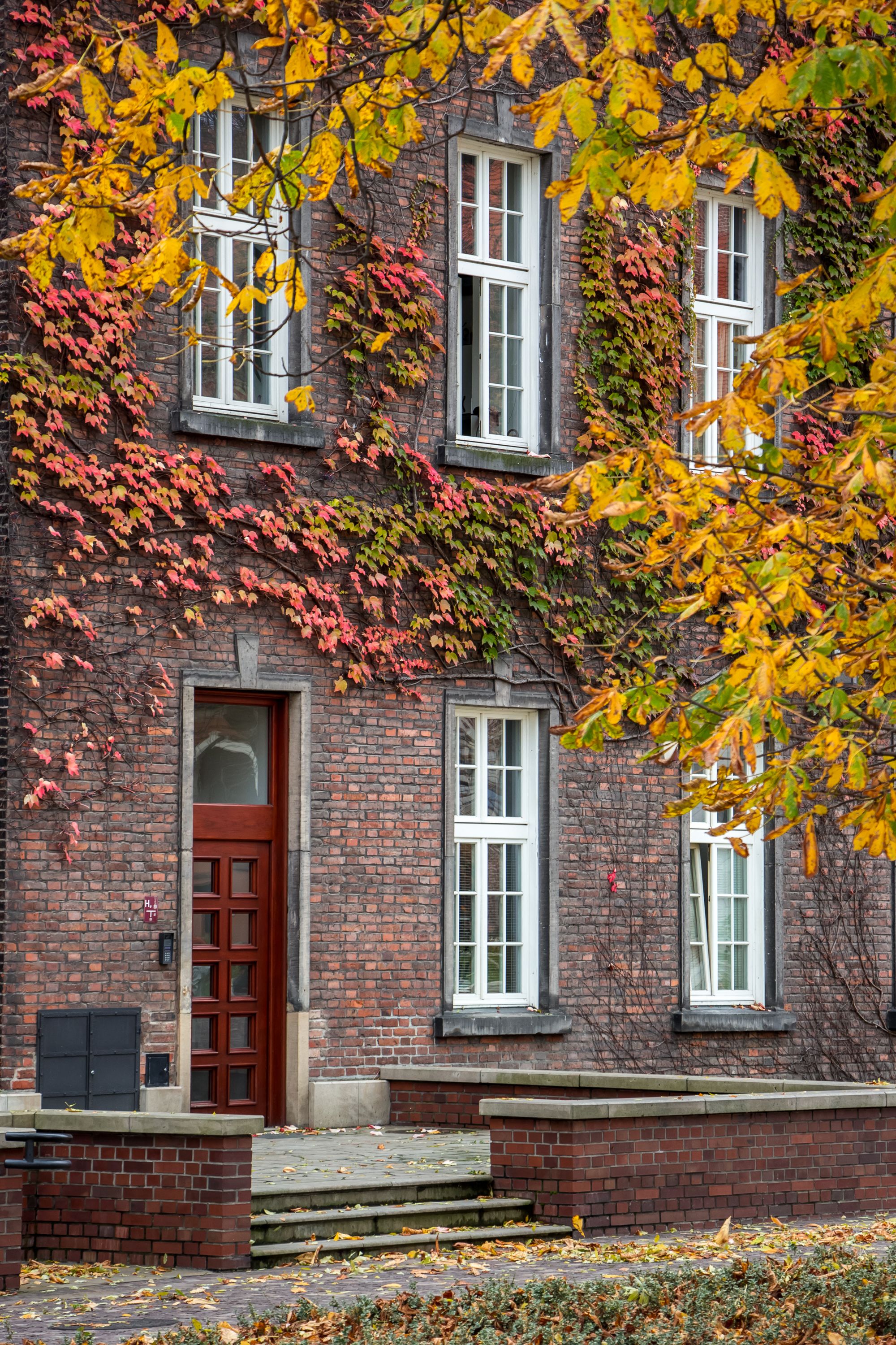 Charming Brick Building with Autumn Ivy · Free Stock Photo