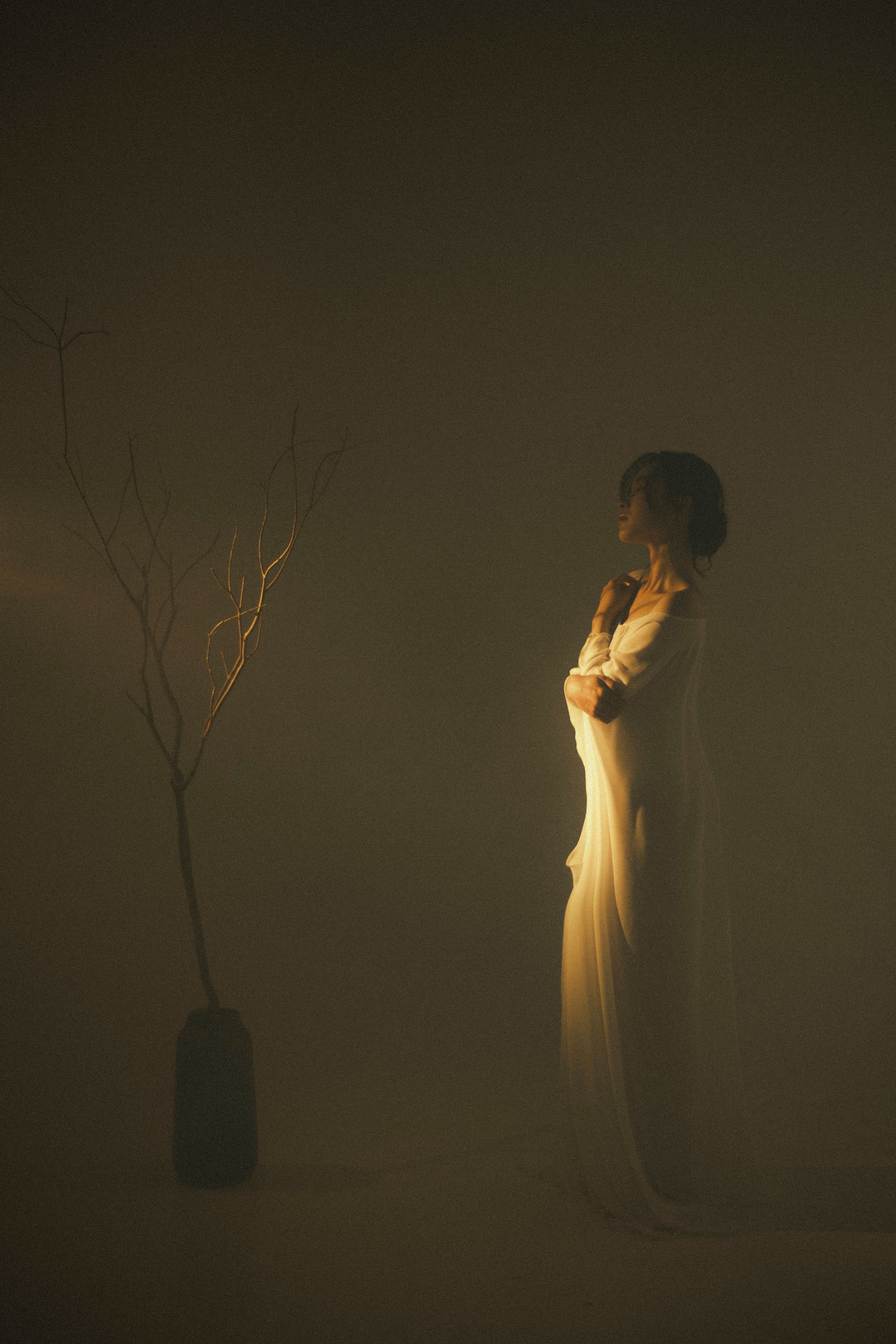 Artistic Portrait in Warm Ambient Light · Free Stock Photo