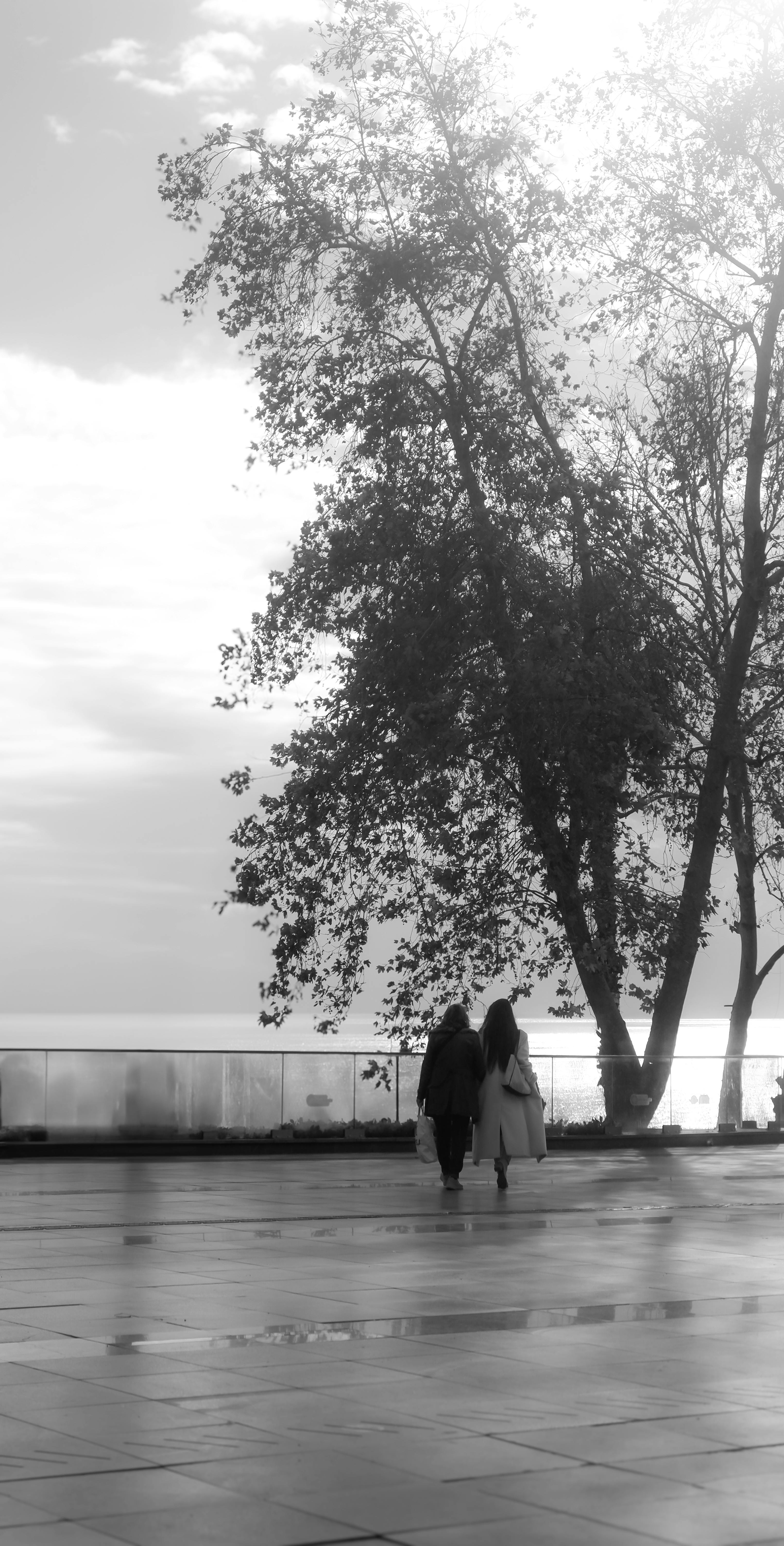 Black and White Walk by Scenic Lakeside · Free Stock Photo