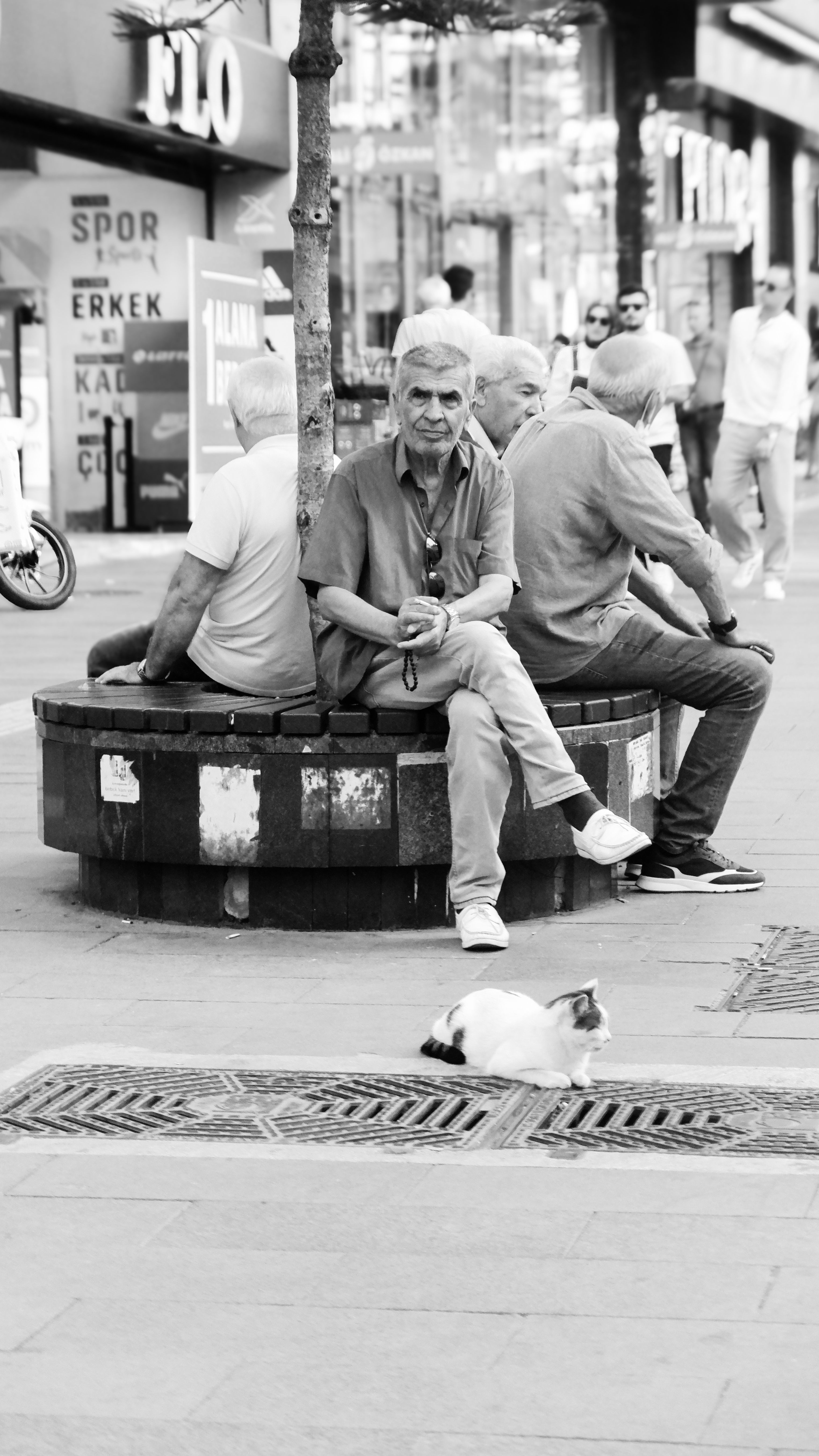 Candid Street Scene with Elderly Men and Cat · Free Stock Photo