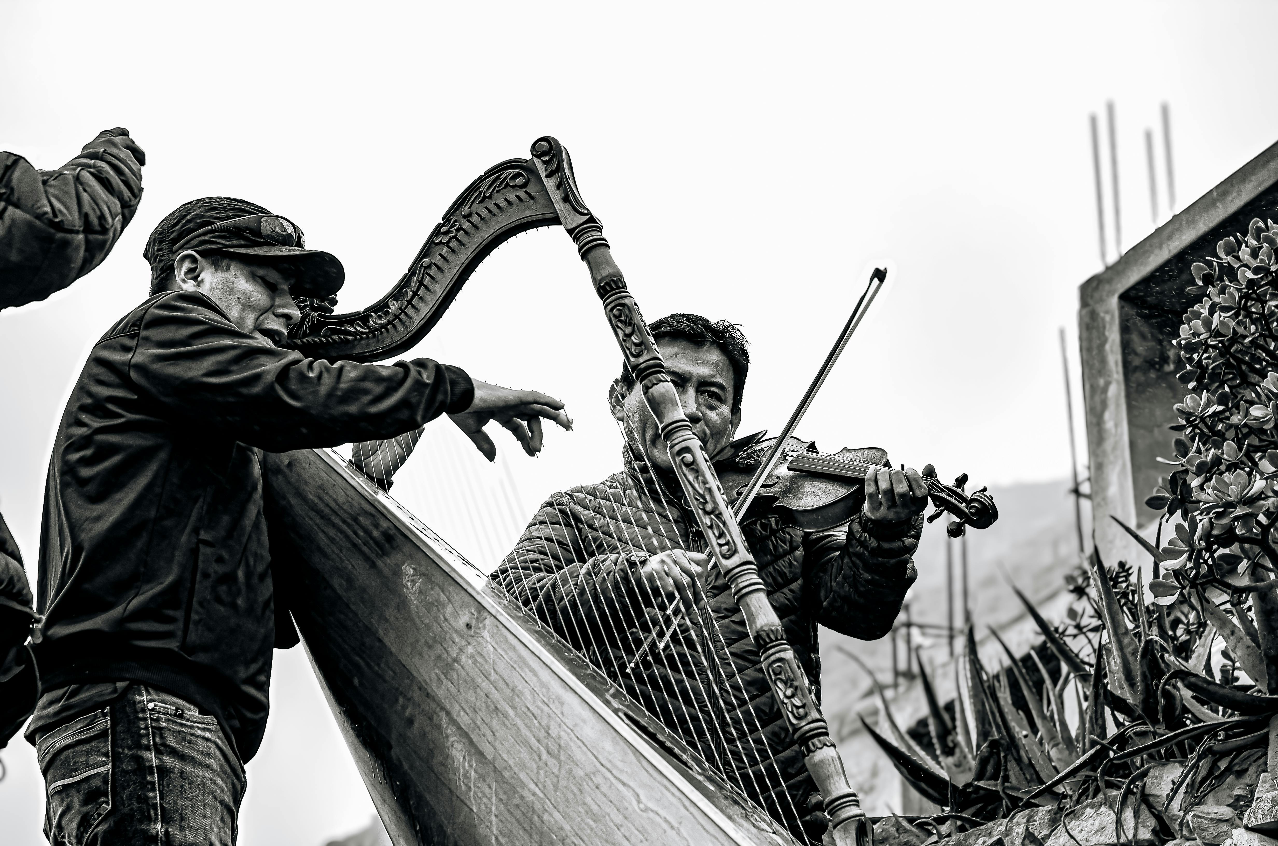 Street Musicians Playing Harp and Violin Outdoors · Free Stock Photo