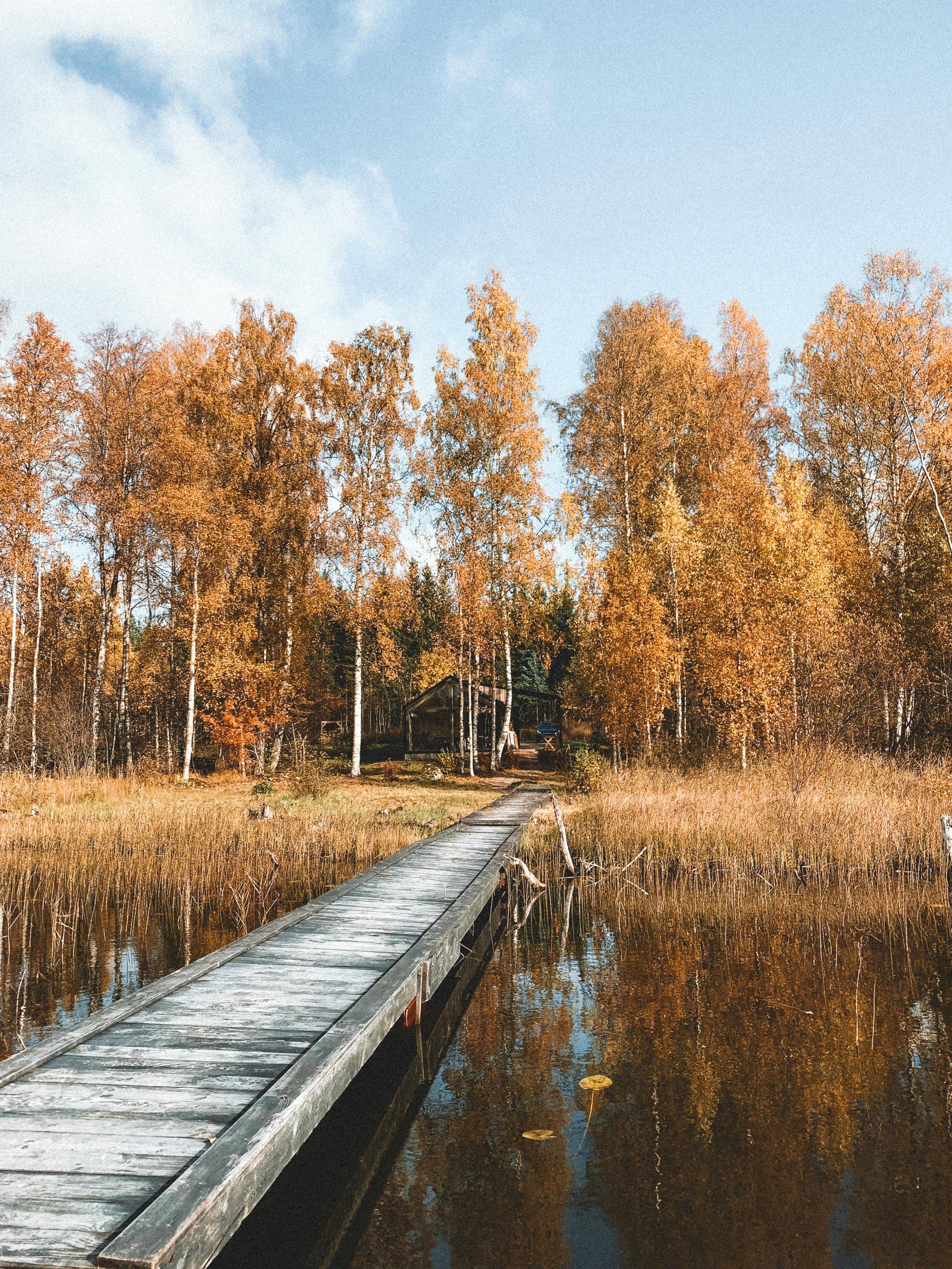 Serene Autumn Lake Scene with Wooden Pier · Free Stock Photo