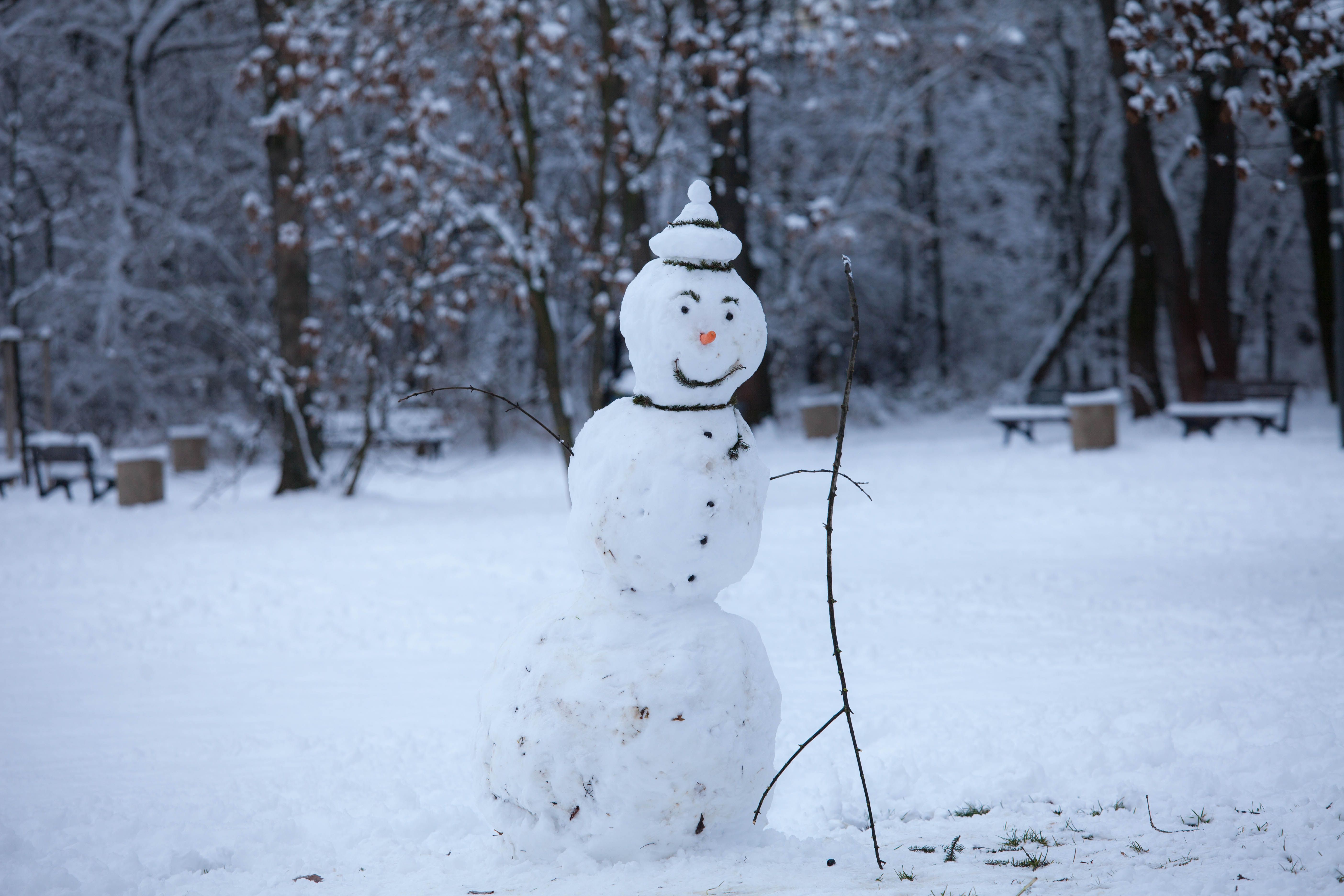 Charming Snowman in Winter Wonderland Forest · Free Stock Photo
