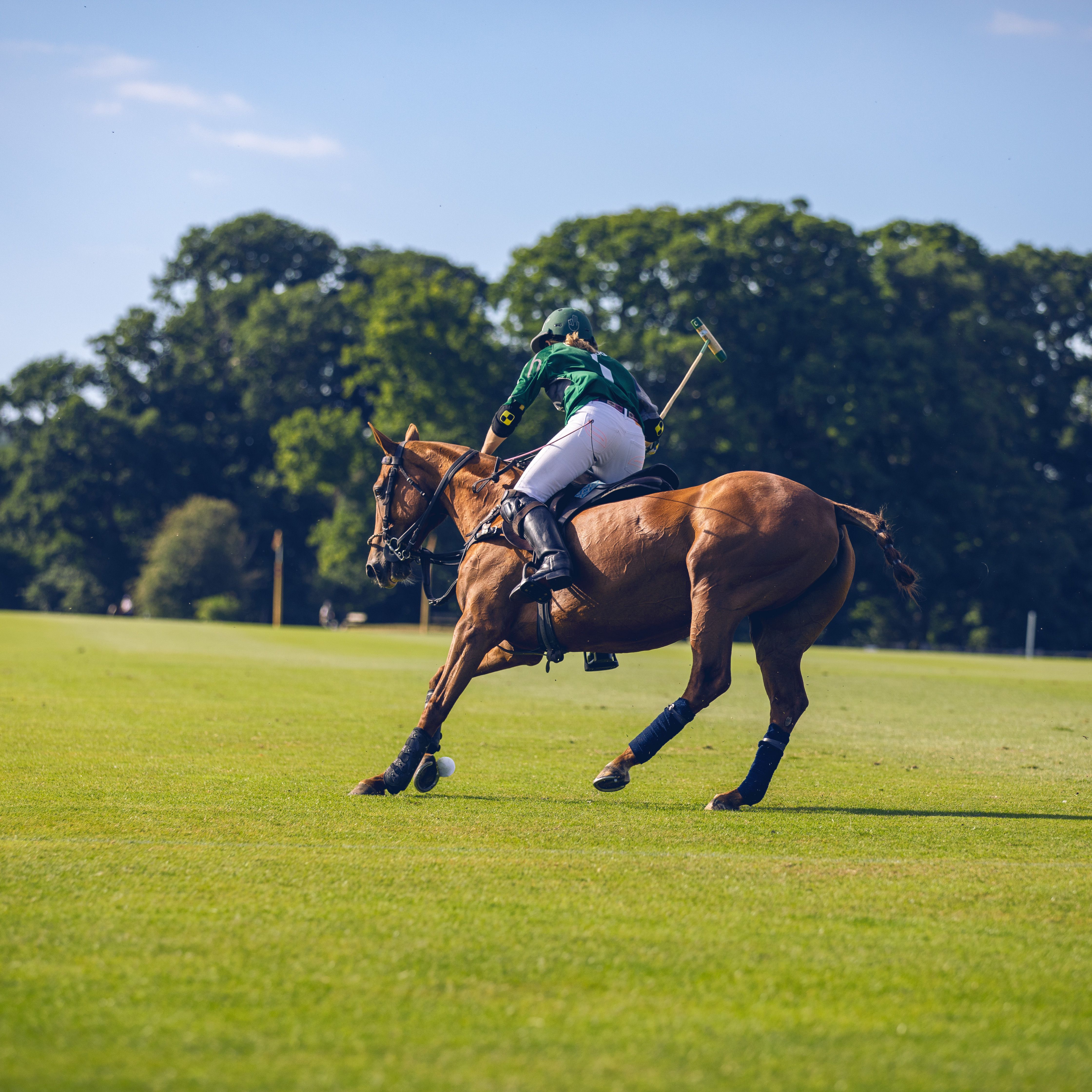 Dynamic Polo Player in Action on a Sunny Day · Free Stock Photo