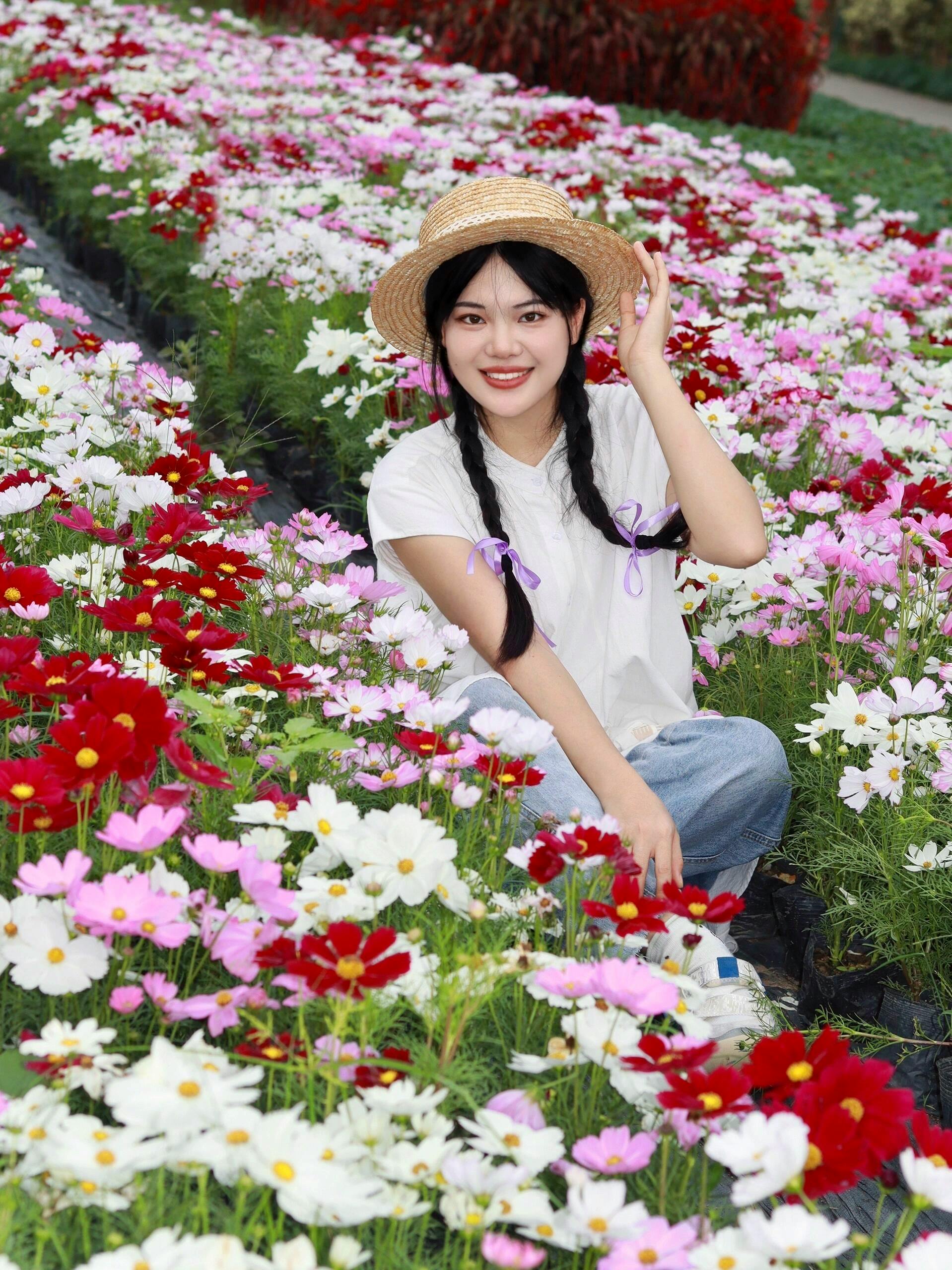 Foto stok gratis tentang akhir musim panas, alam, awet muda, berbunga ...