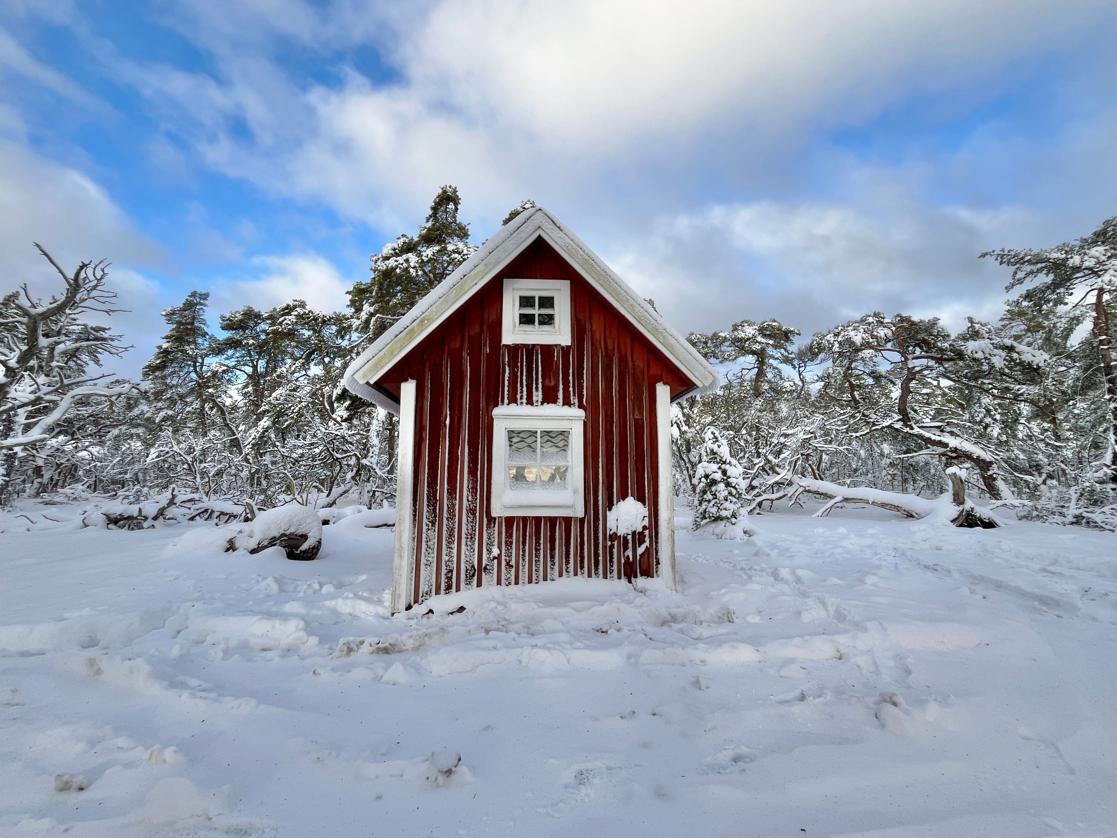 Cozy Red Cabin in Winter Wonderland Forest · Free Stock Photo