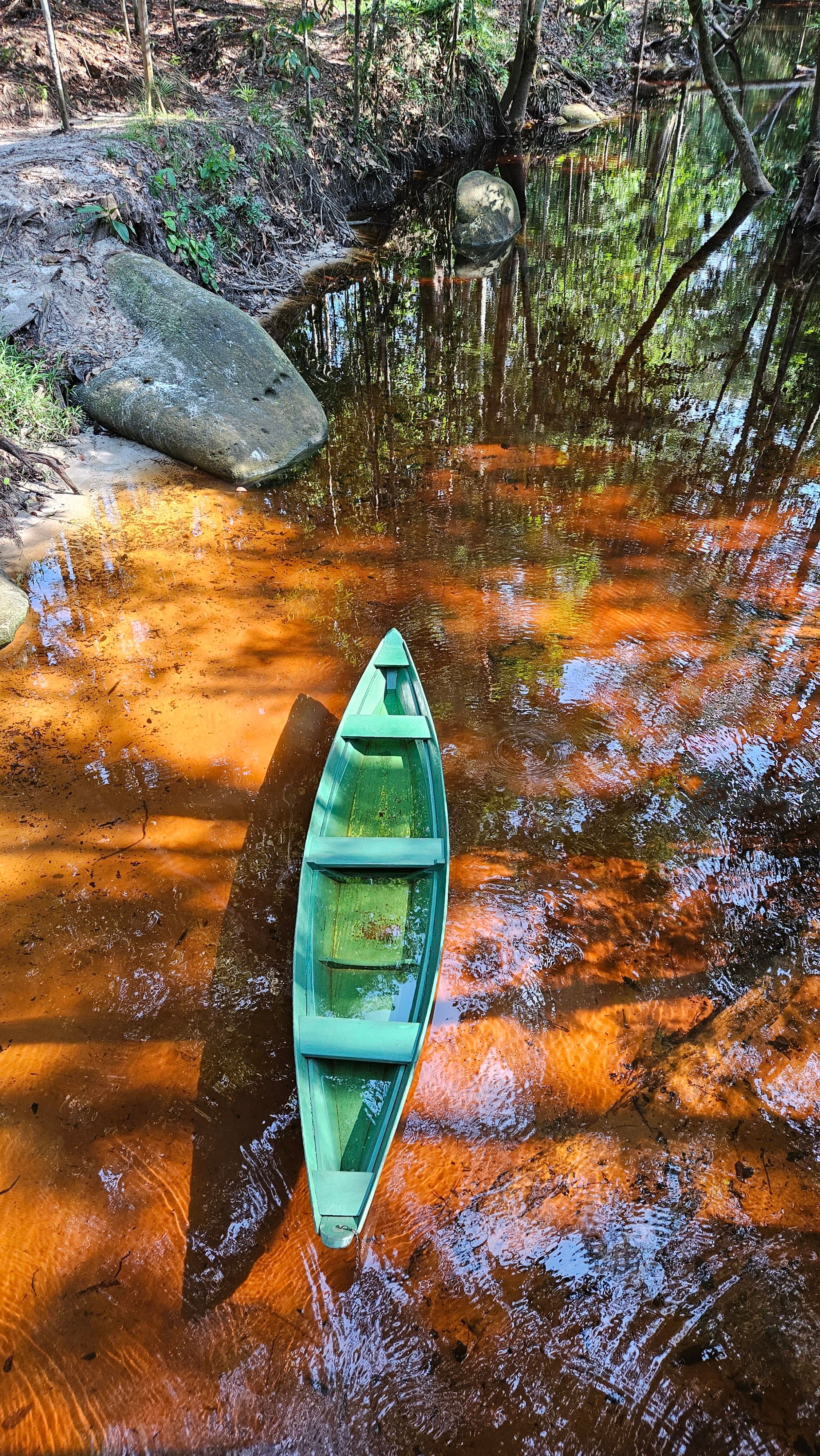 Serene Green Canoe in Amazon Rainforest Stream · Free Stock Photo