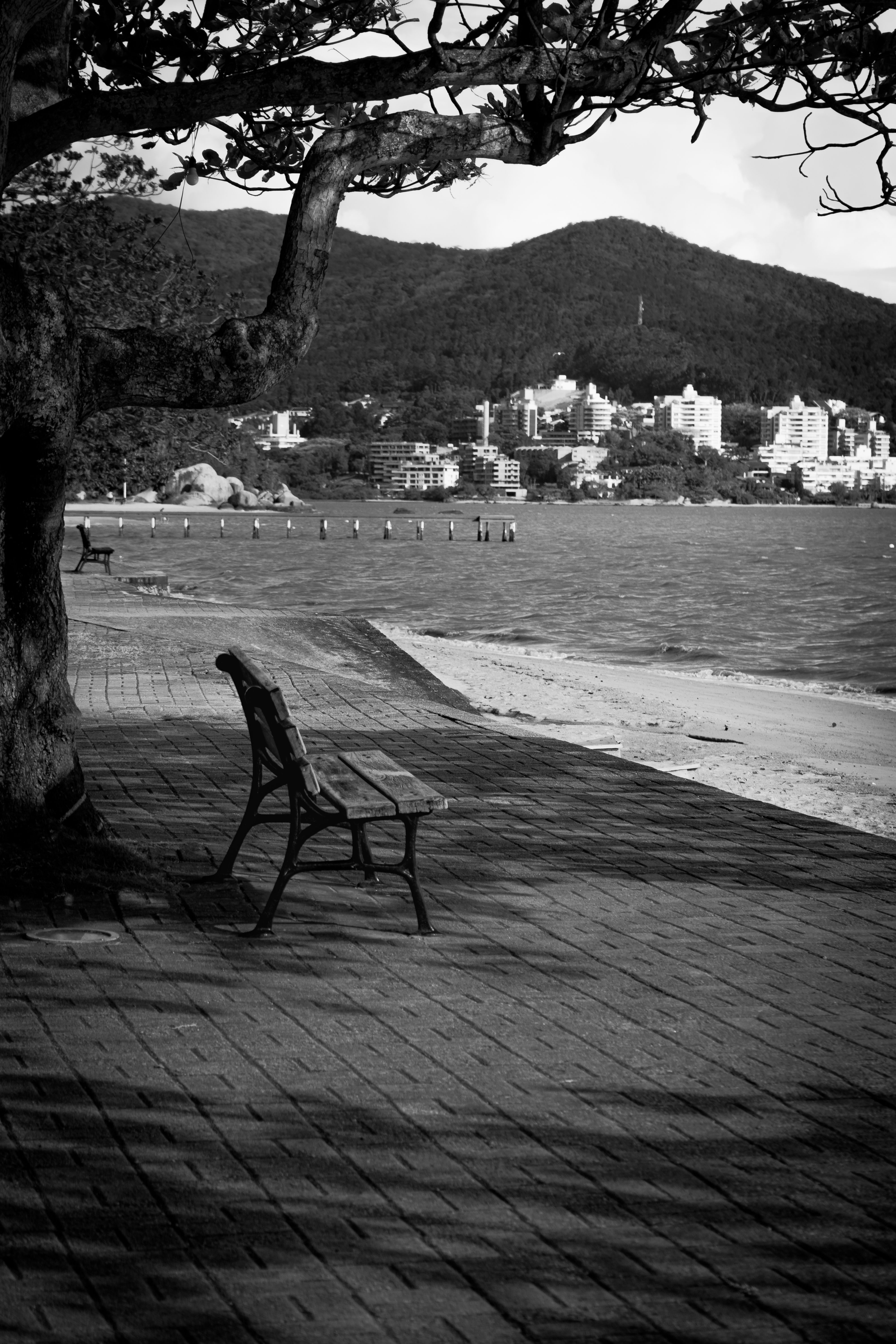 Paisagem De Praia Serena Com Banco Vazio E árvore · Foto profissional ...