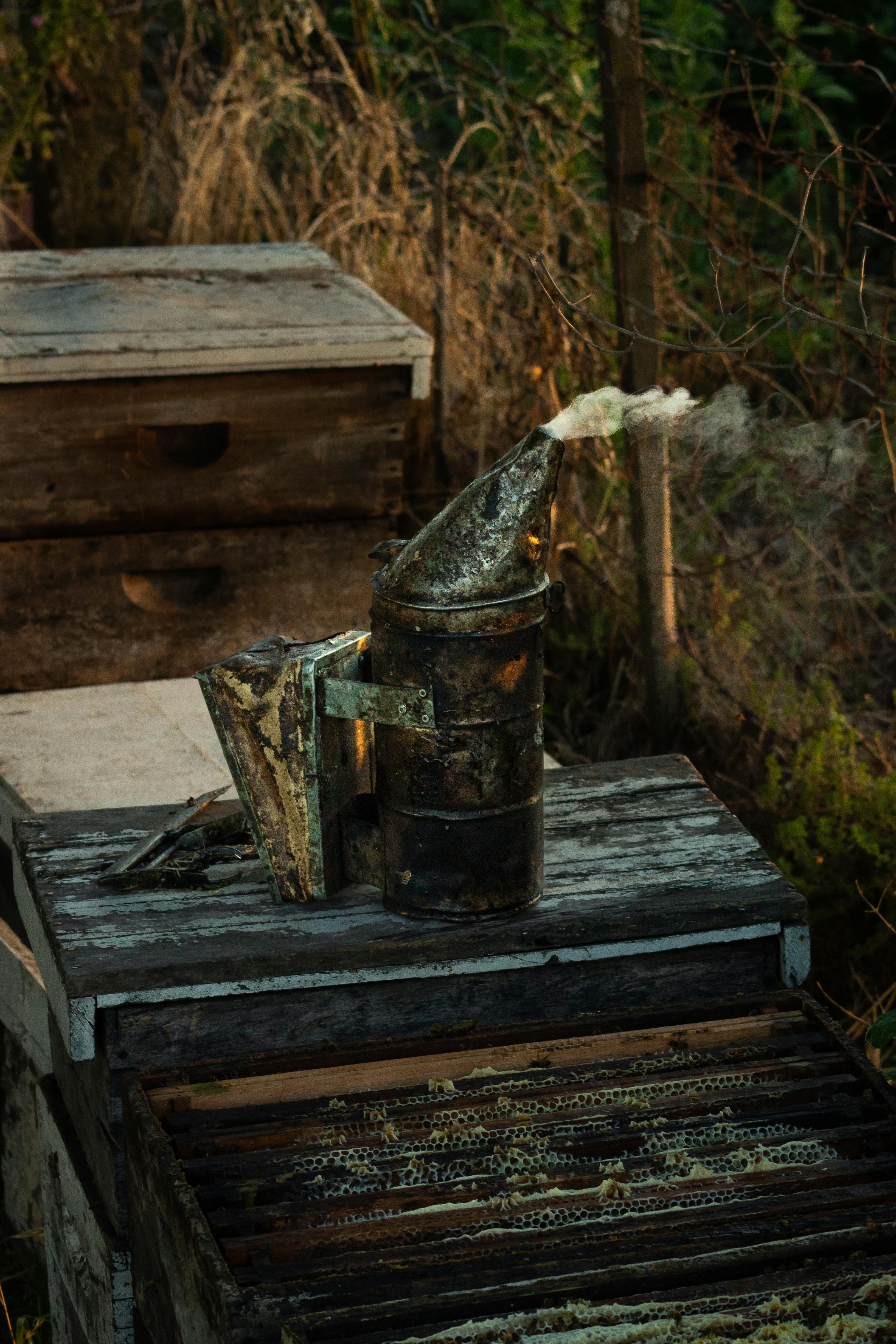 Rustic Beekeeping Scene in Carreras, Argentina · Free Stock Photo