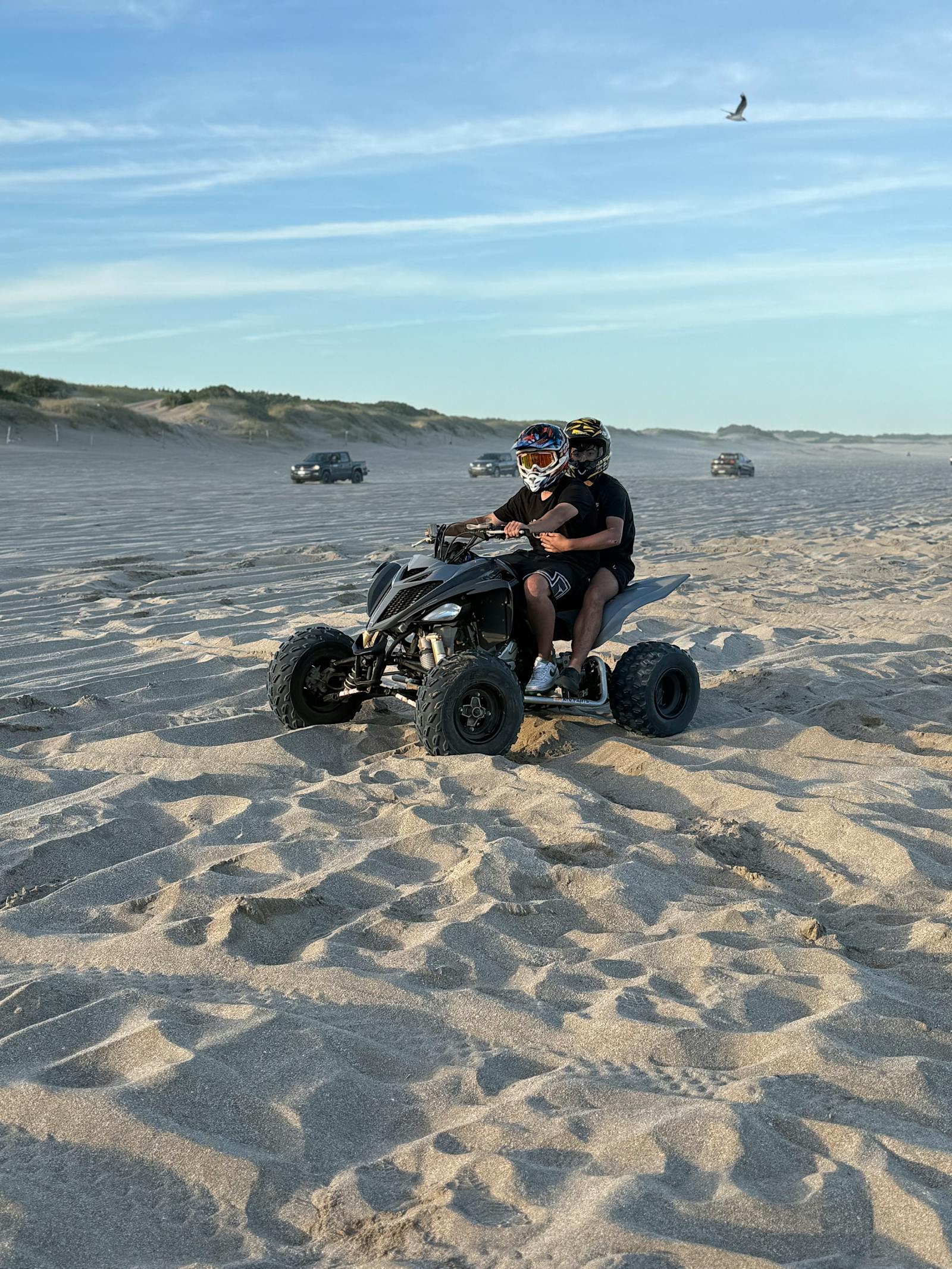 Atv Photos, Download The BEST Free Atv Stock Photos & HD Images