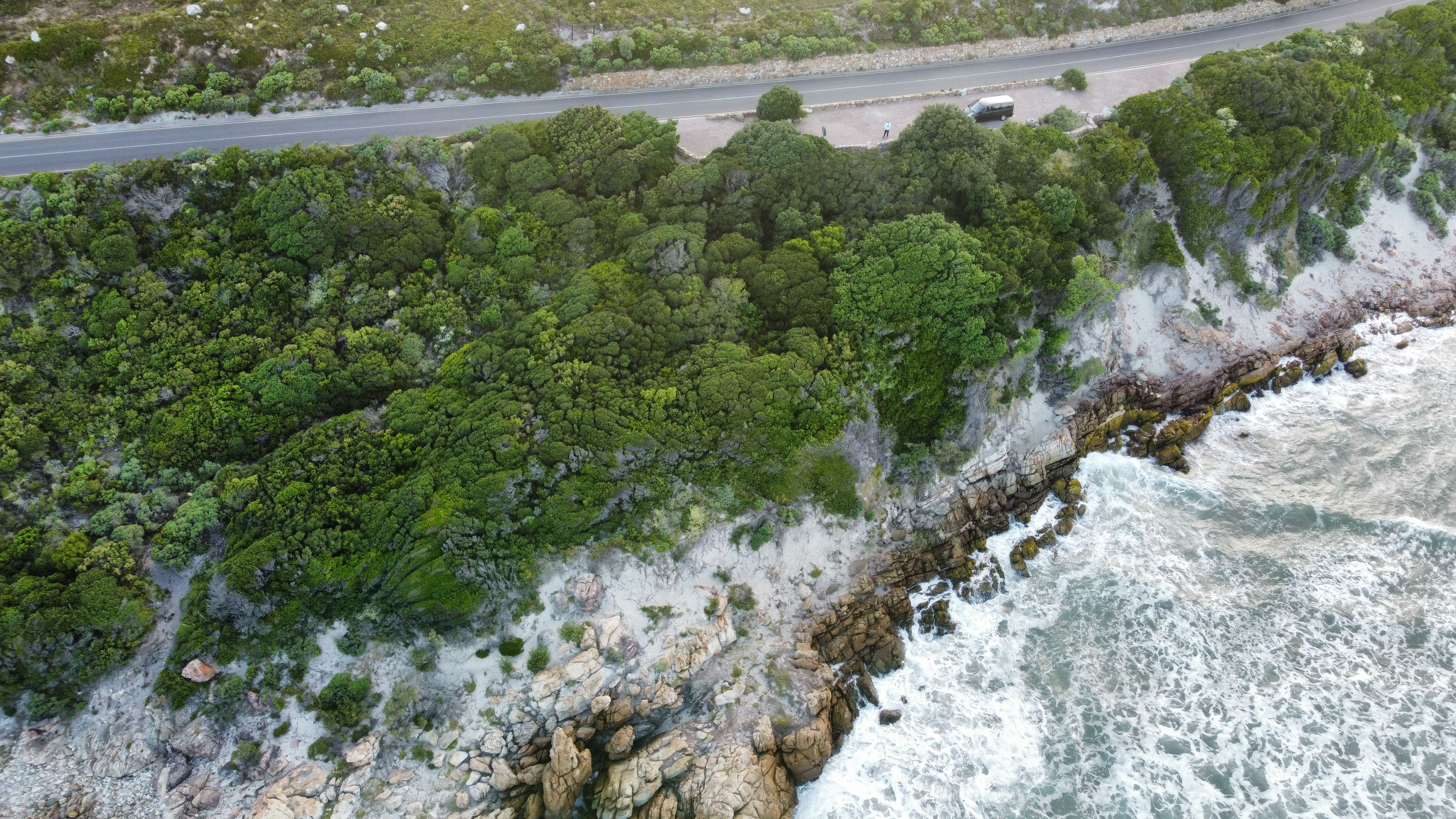 Aerial View of Rugged Coastline and Lush Forest · Free Stock Photo
