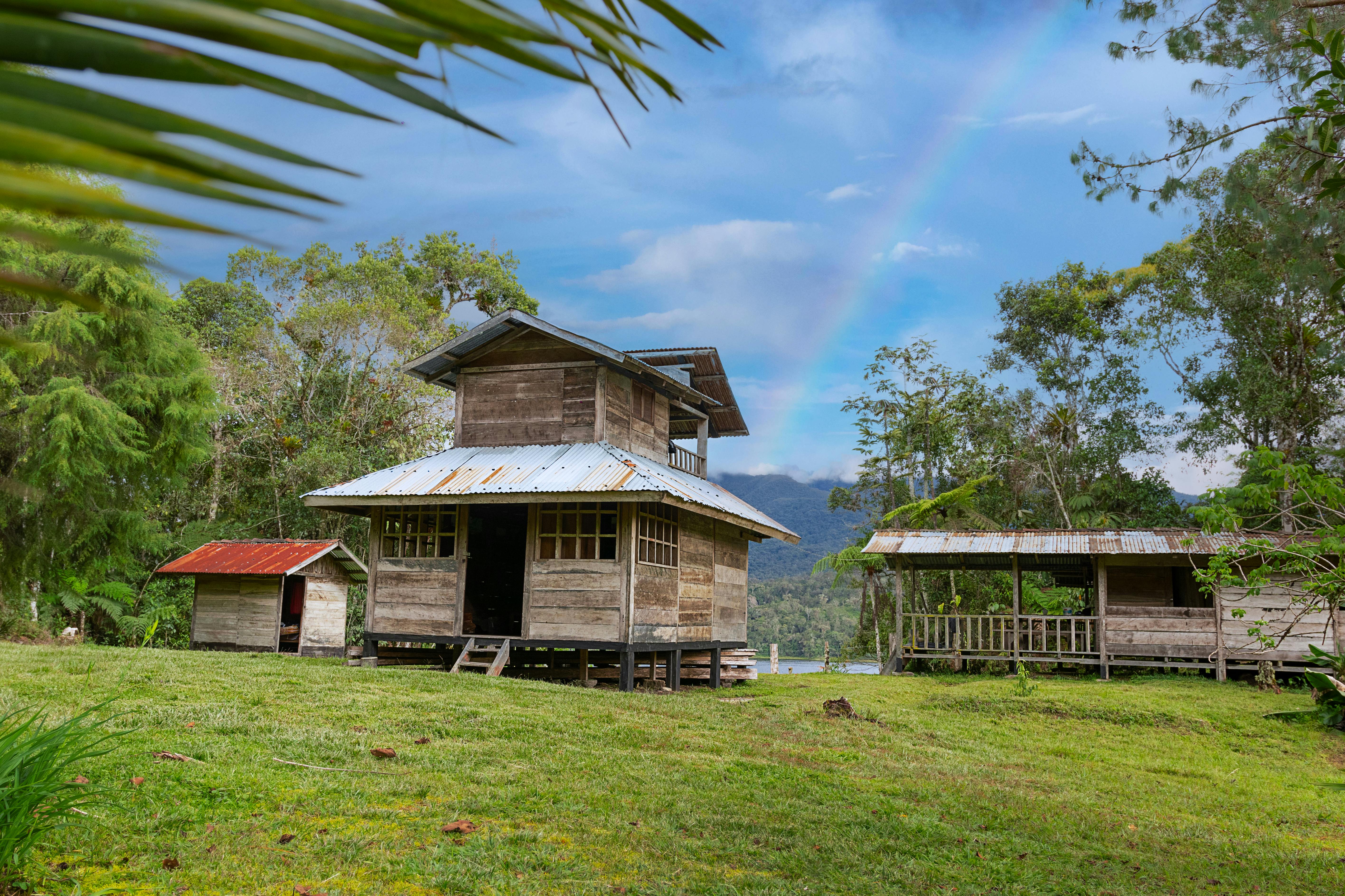 Rustic Wooden Houses in Amazonas, Peru · Free Stock Photo
