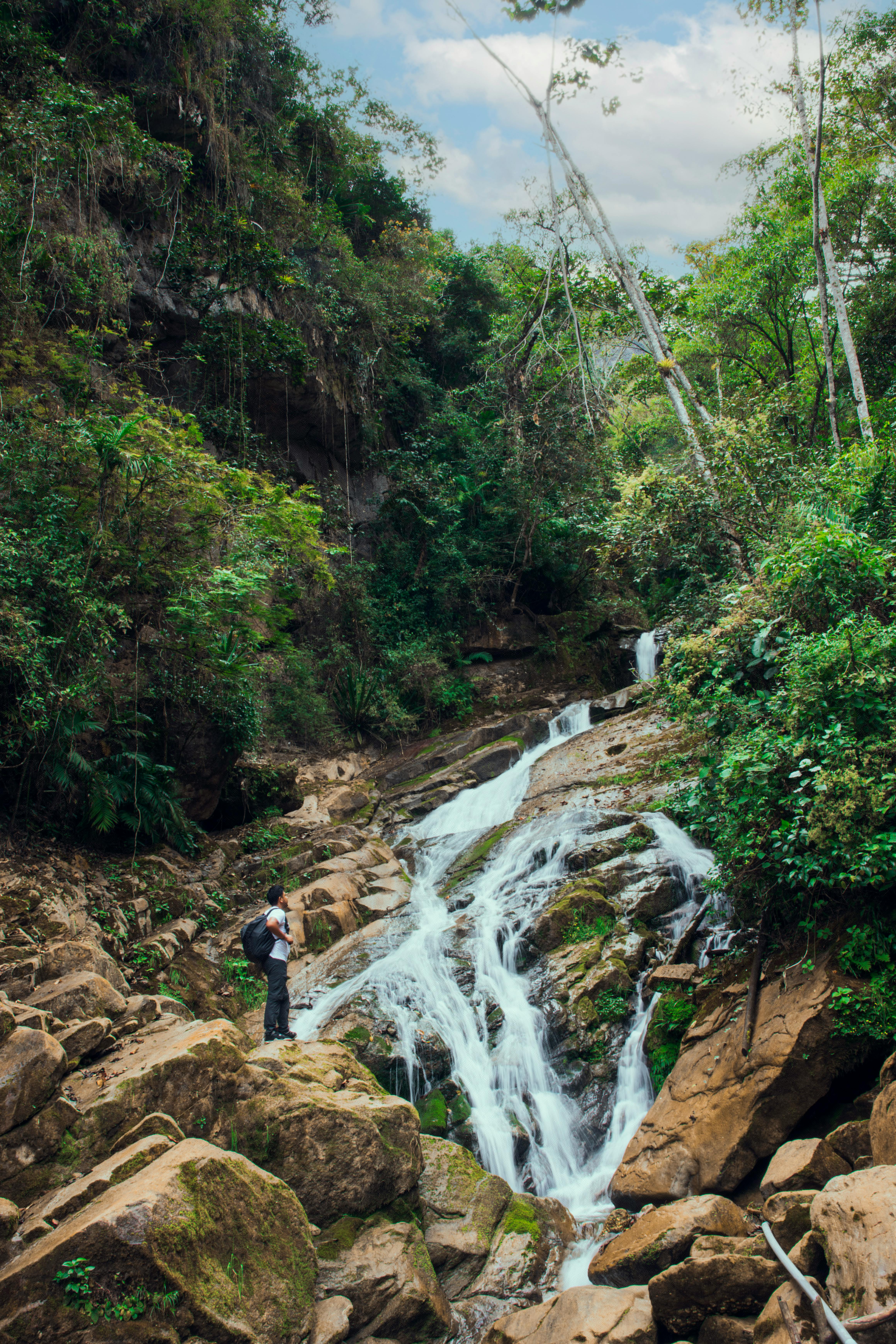 Scenic Waterfall in Amazonas Jungle · Free Stock Photo