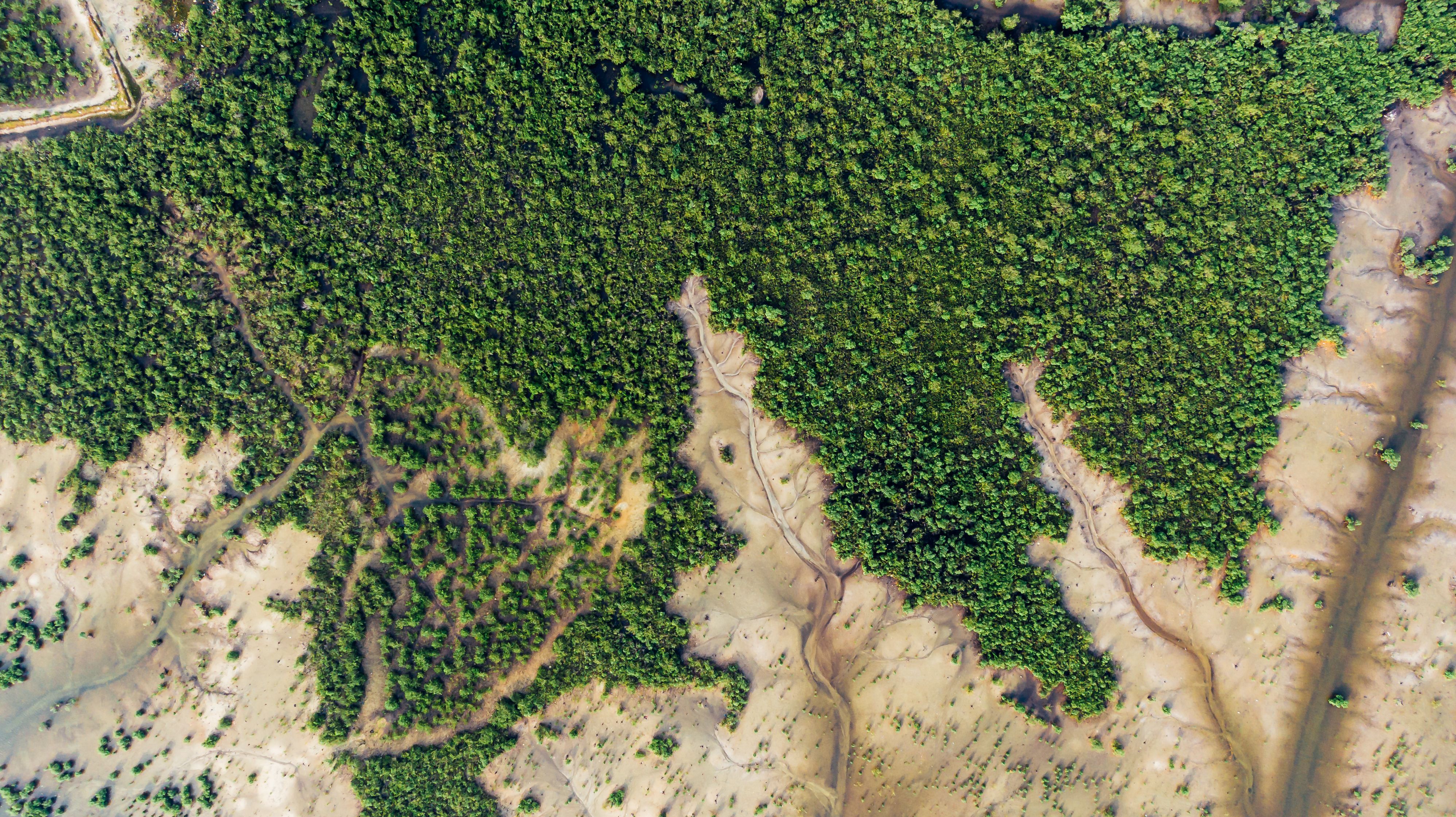 Top View Photo of Field · Free Stock Photo