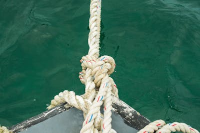 Knot Photos, Download The BEST Free Knot Stock Photos & HD Images