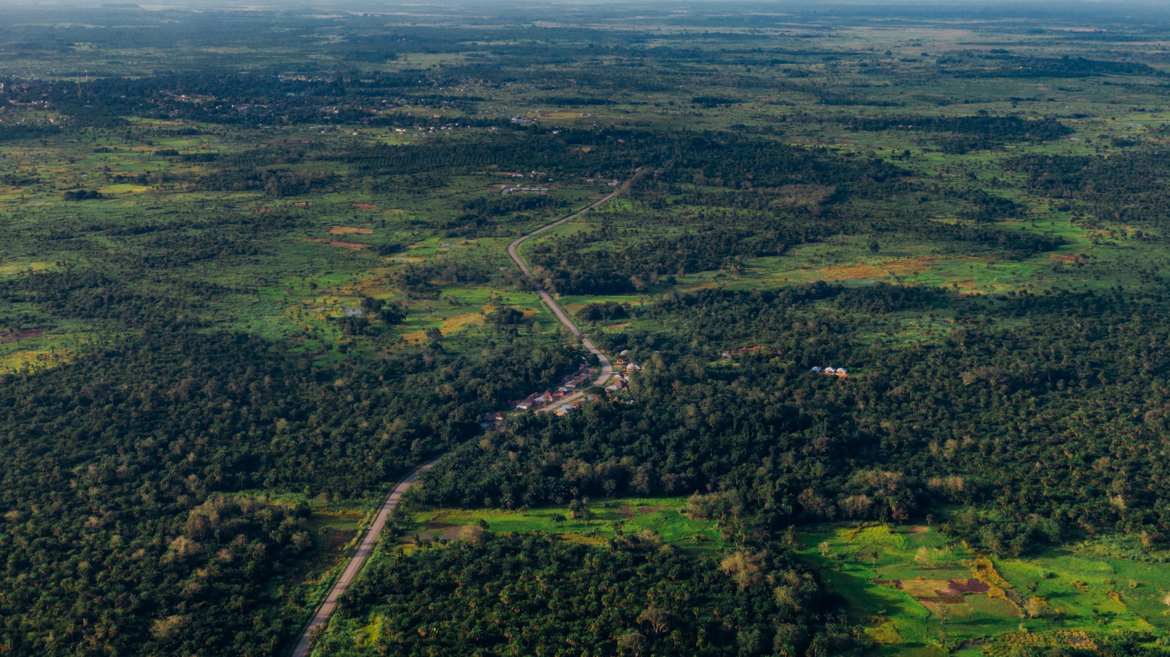 Aerial View of Vast Lush Land With Houses Built Along The Side Of A ...