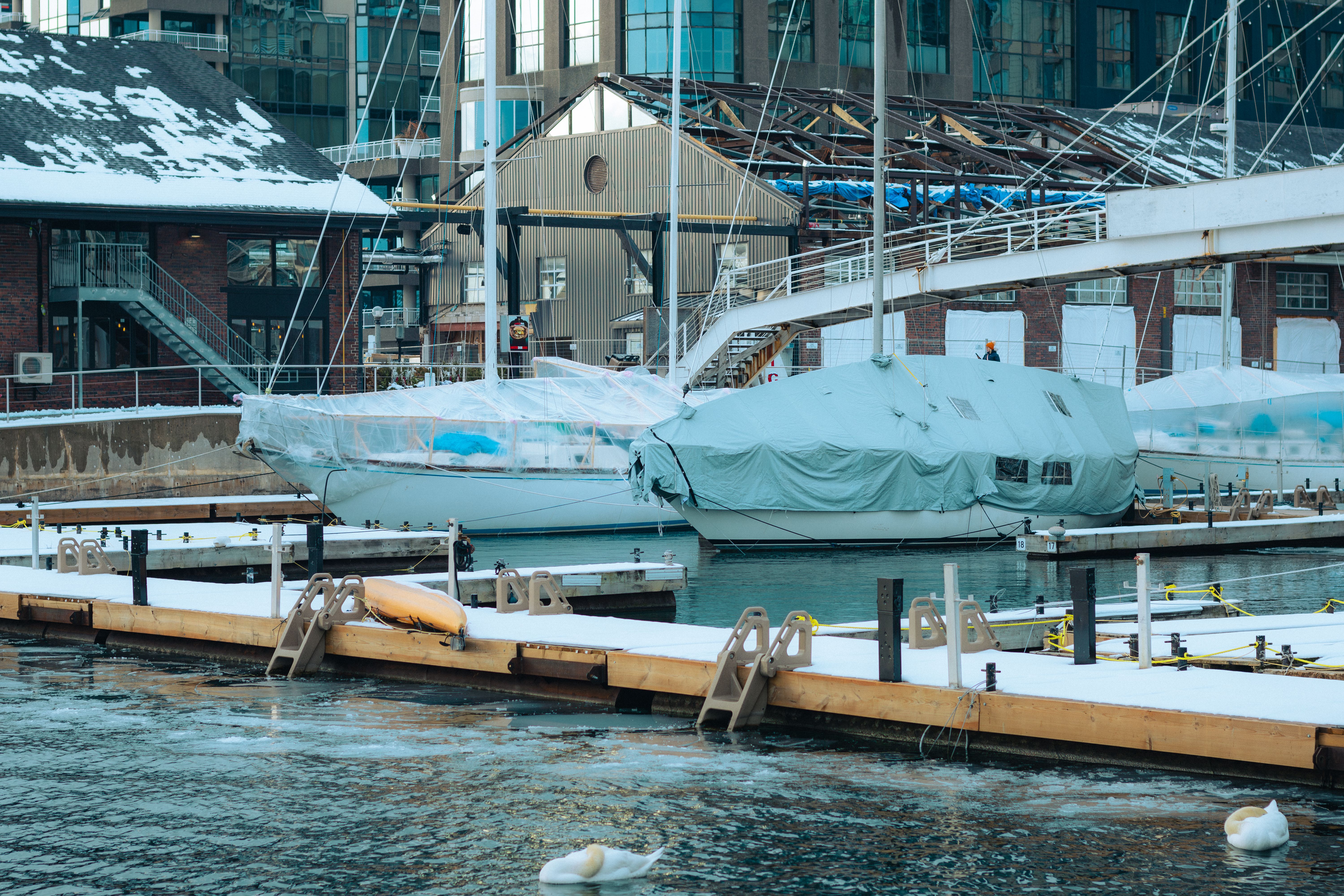 Marina Snow Photos, Download The BEST Free Marina Snow Stock Photos ...