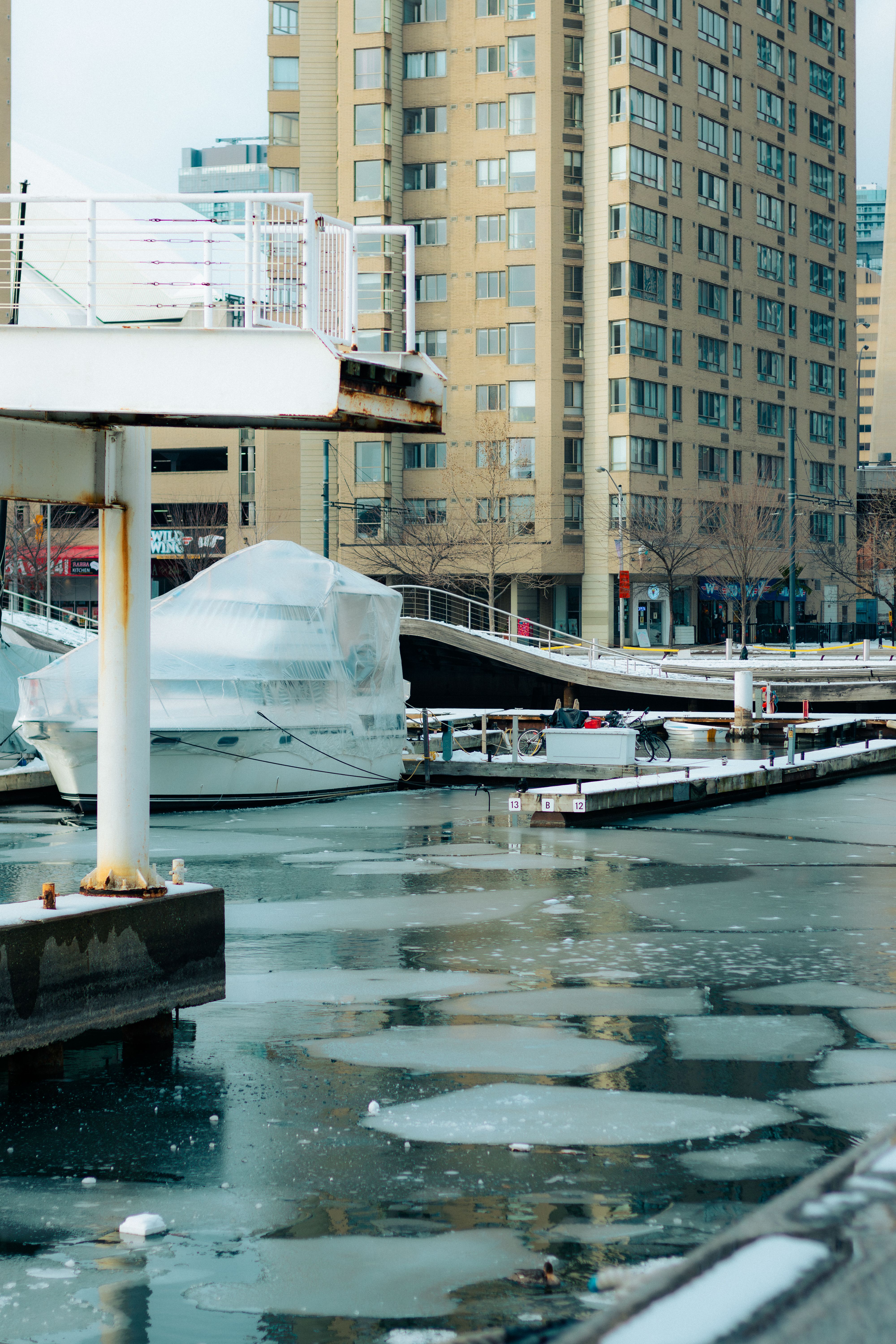 Frozen Marina in Downtown Toronto during Winter · Free Stock Photo
