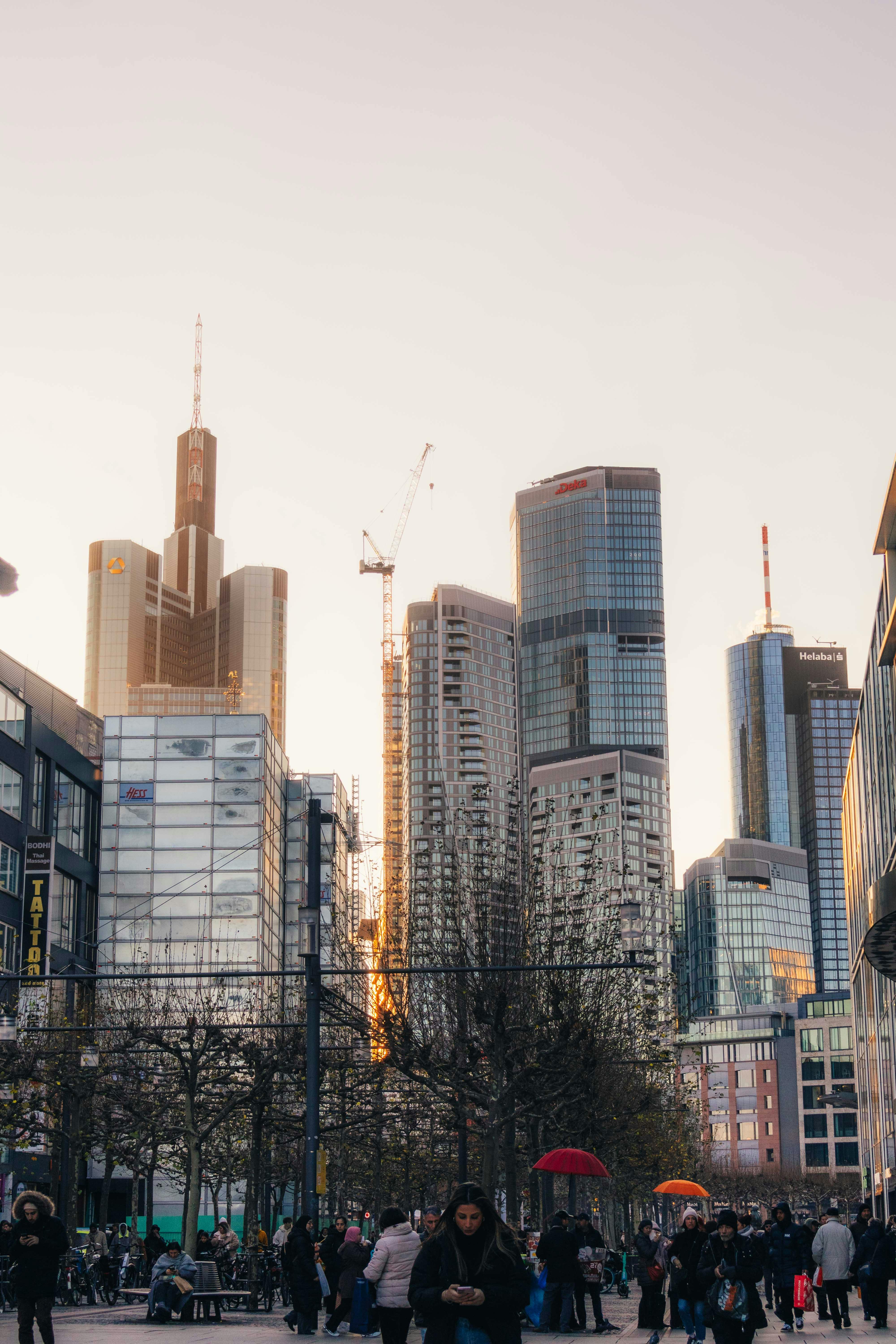 Line Designs Photos, Download The BEST Free Line Designs Stock Photos ...