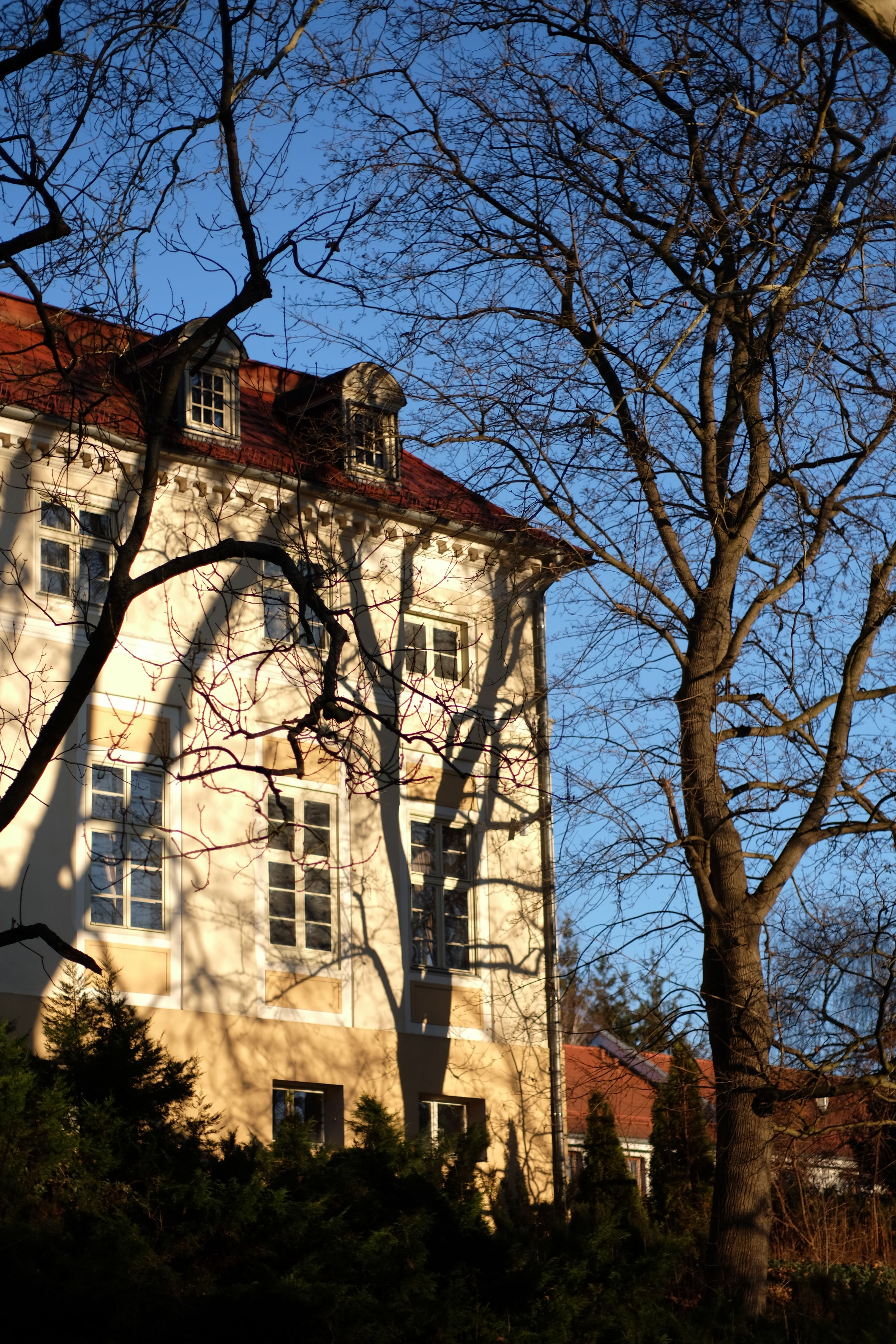 Historic Building Facade with Winter Trees · Free Stock Photo
