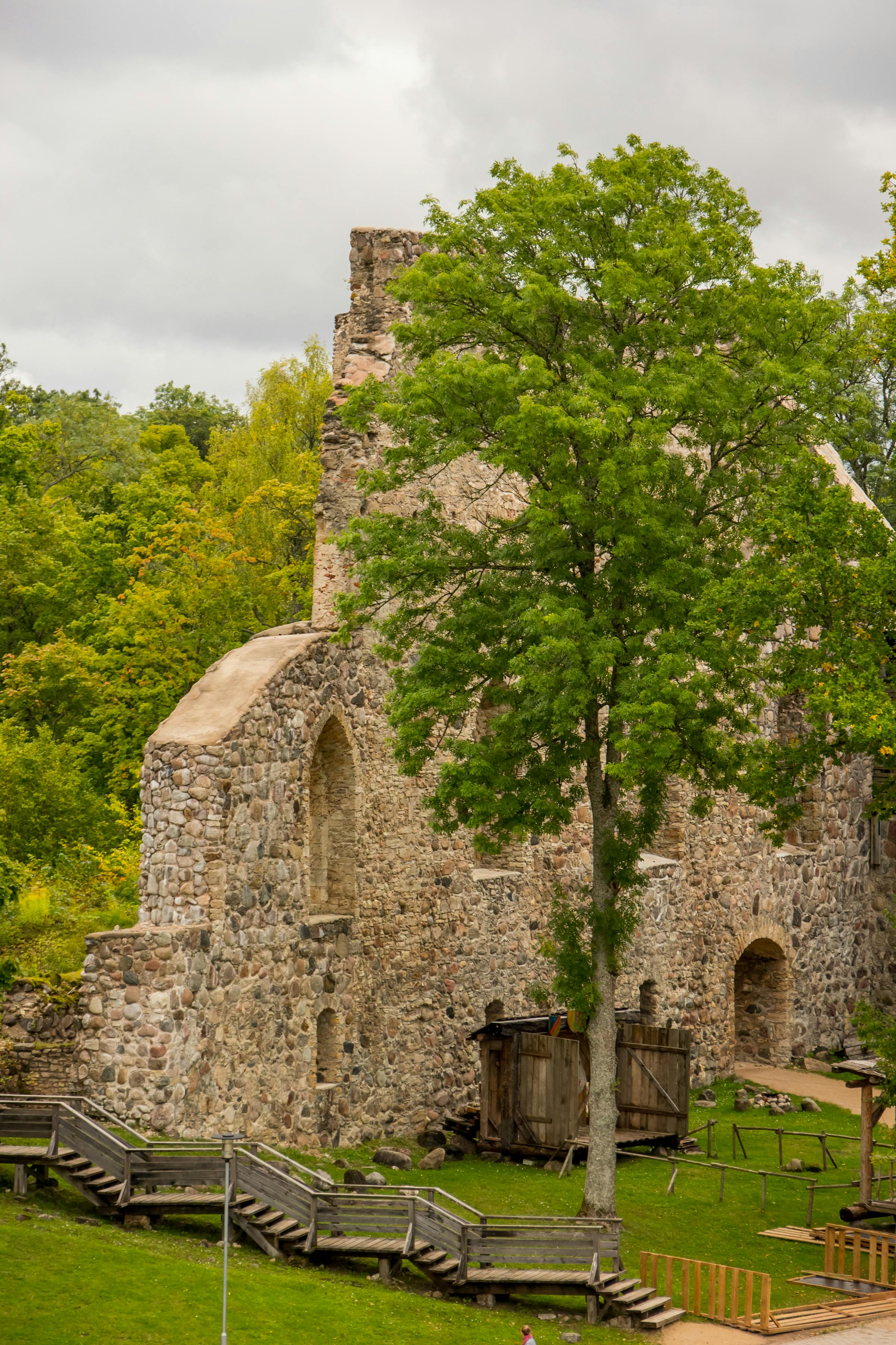 Historic Stone Ruins with Towering Green Tree · Free Stock Photo