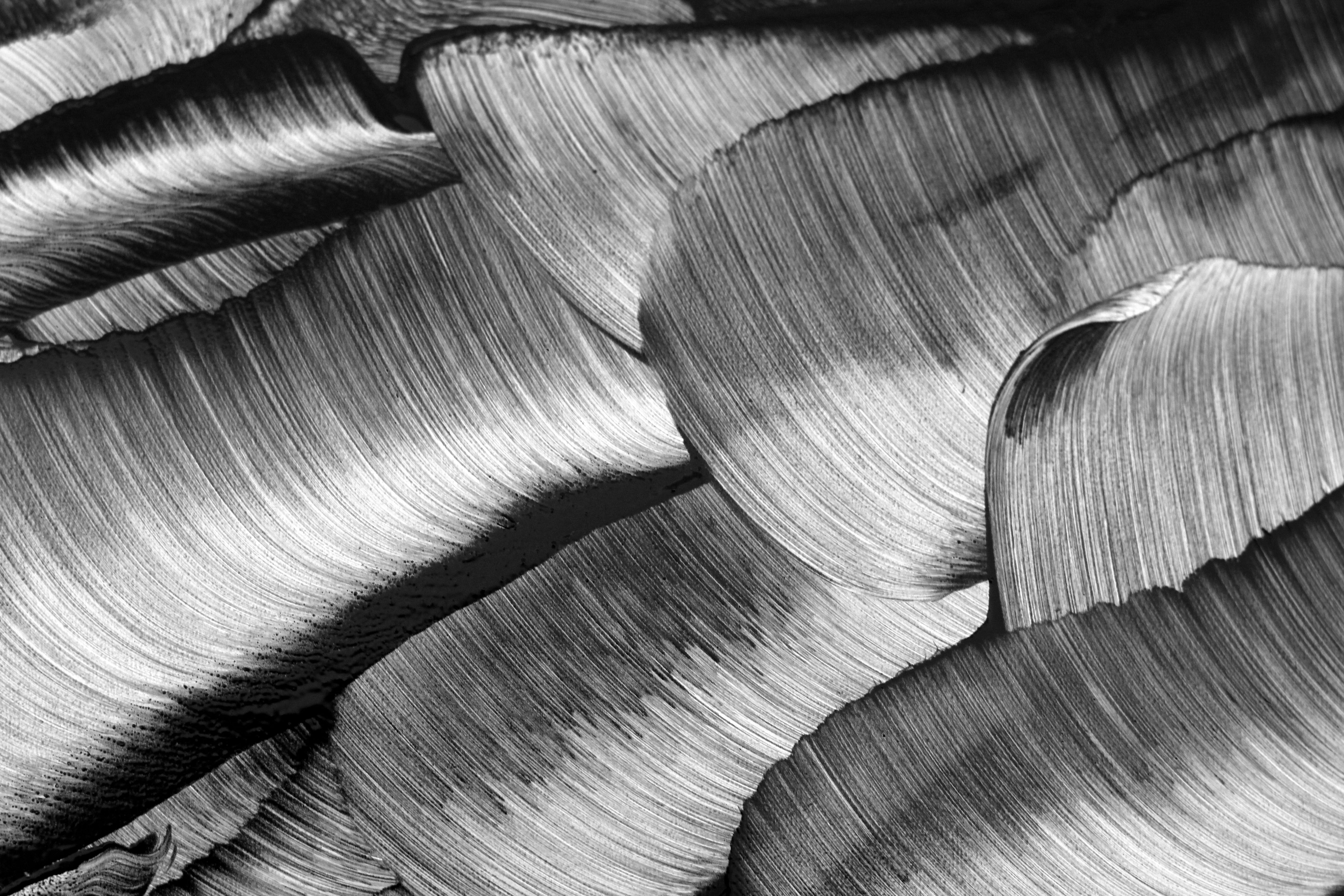 Abstract Grayscale Brush Strokes Texture · Free Stock Photo