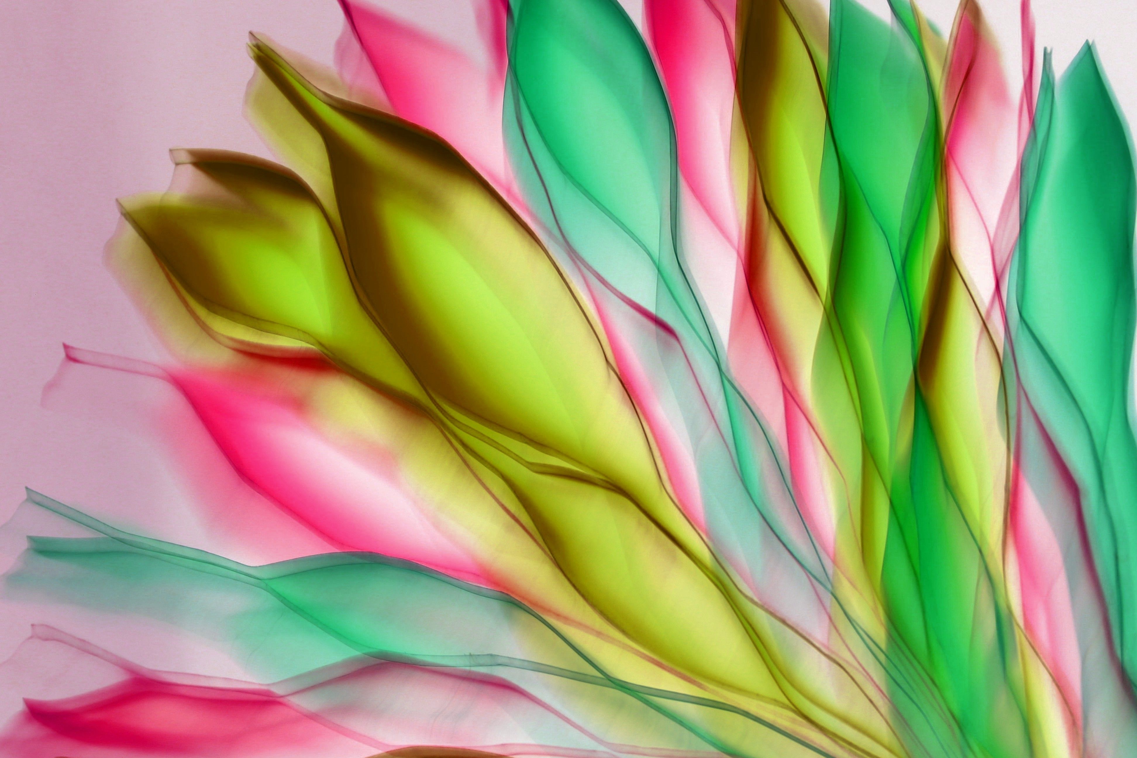 Colorful Abstract Wave Pattern in Motion · Free Stock Photo