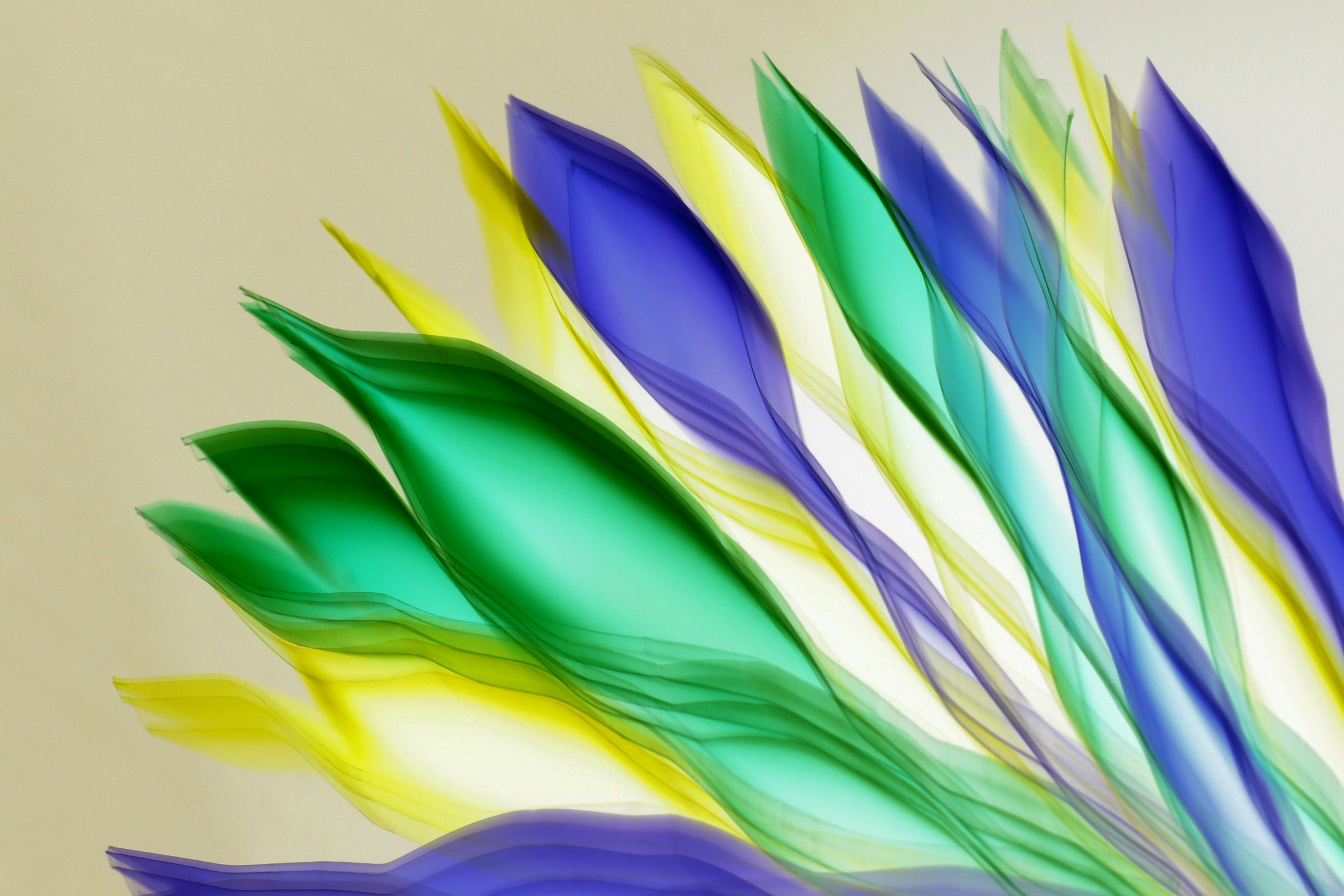Abstract Colorful Feather-like Design · Free Stock Photo