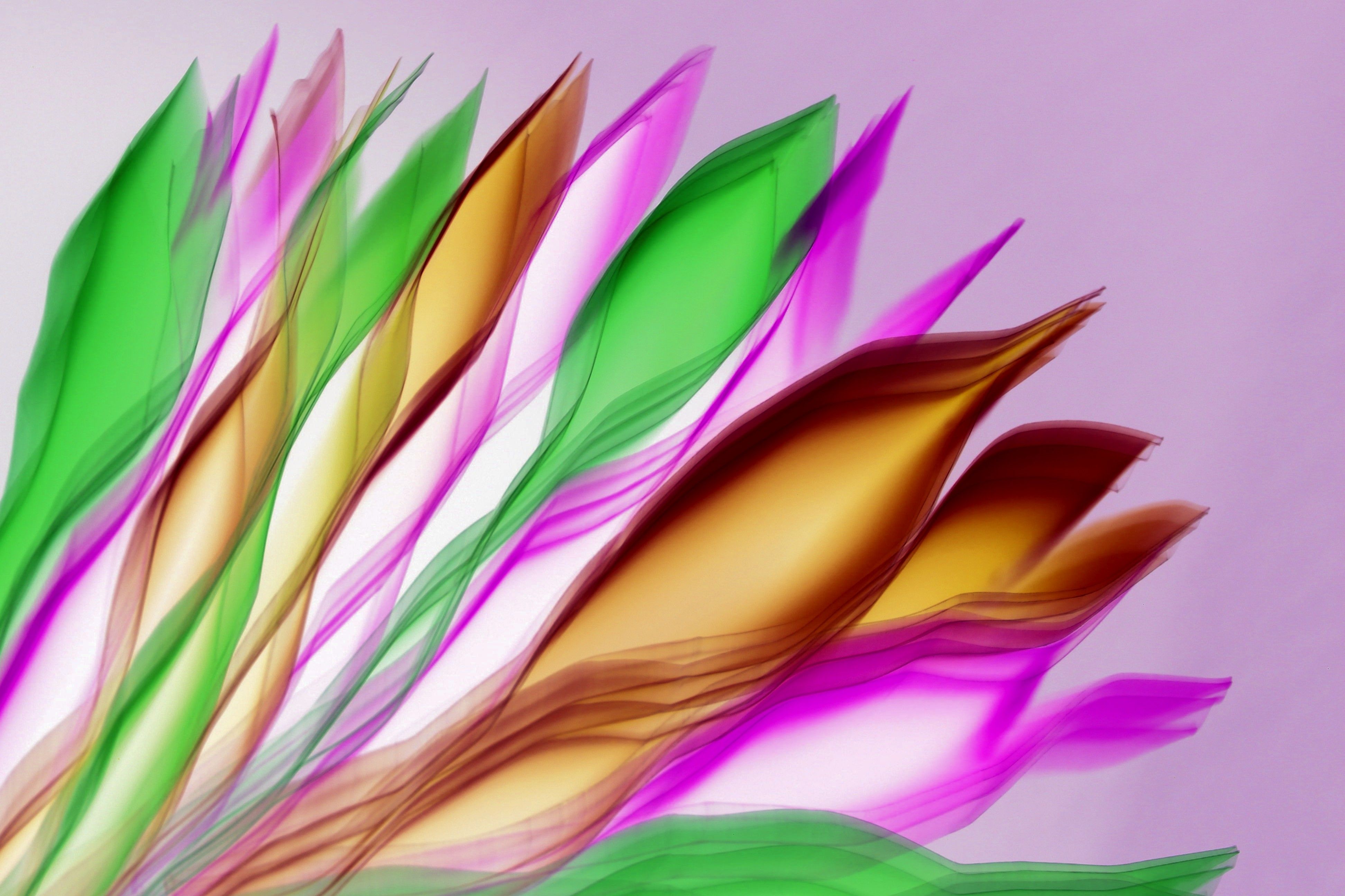 Colorful Abstract Art with Vibrant Waves · Free Stock Photo