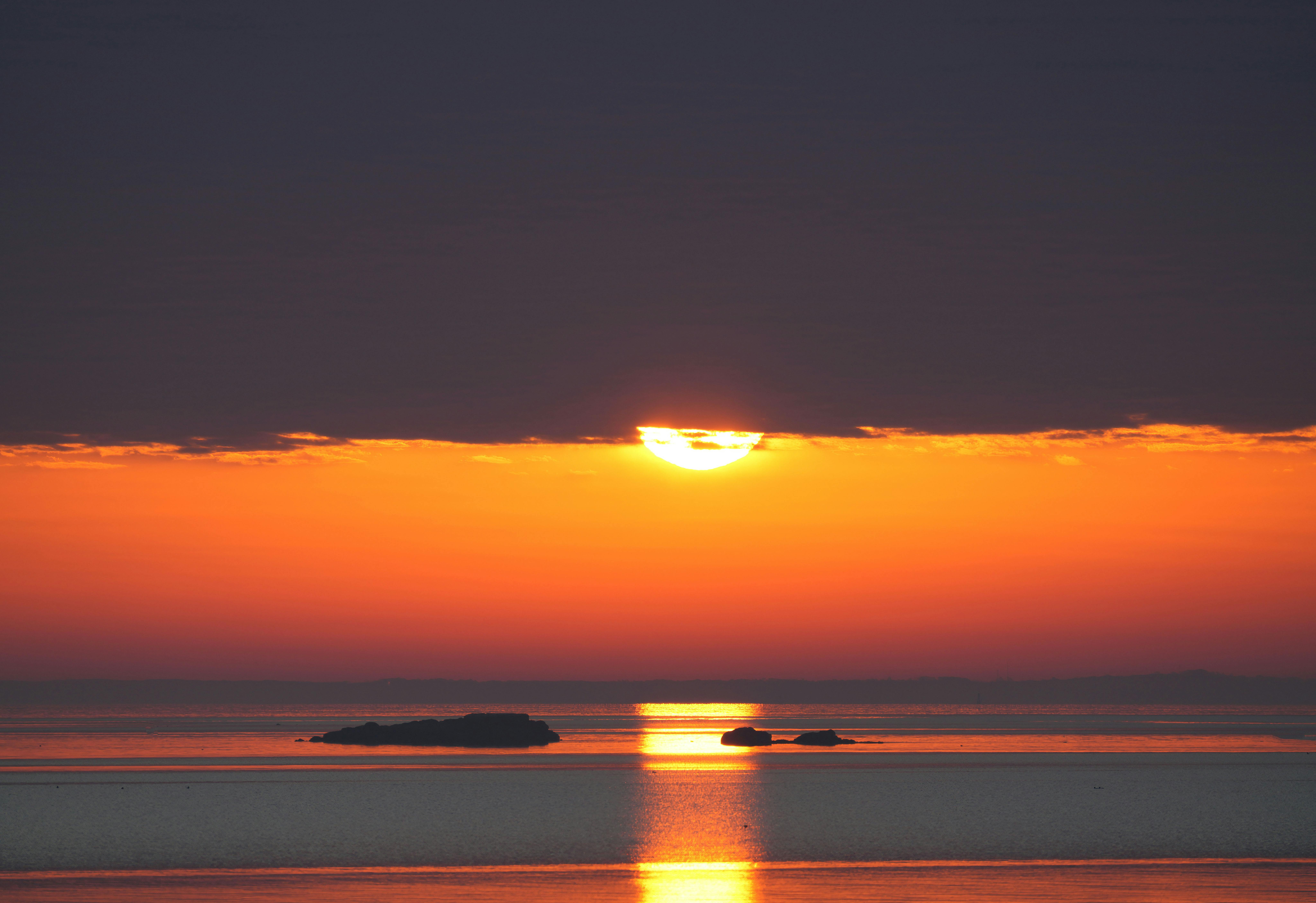 Stunning Sunrise Over Cove Island Park · Free Stock Photo