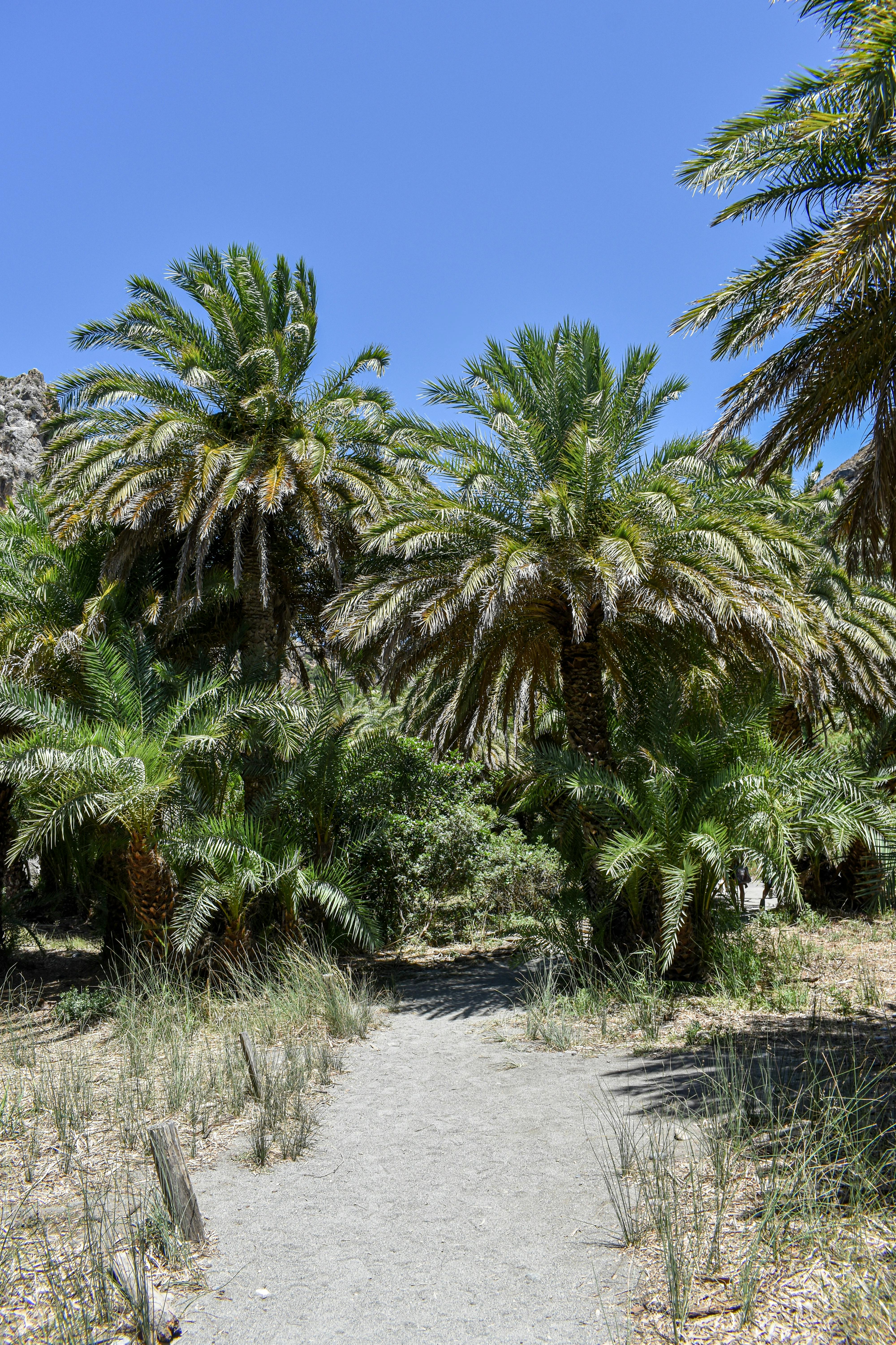 Pathway Exploration Photos, Download The BEST Free Pathway Exploration ...