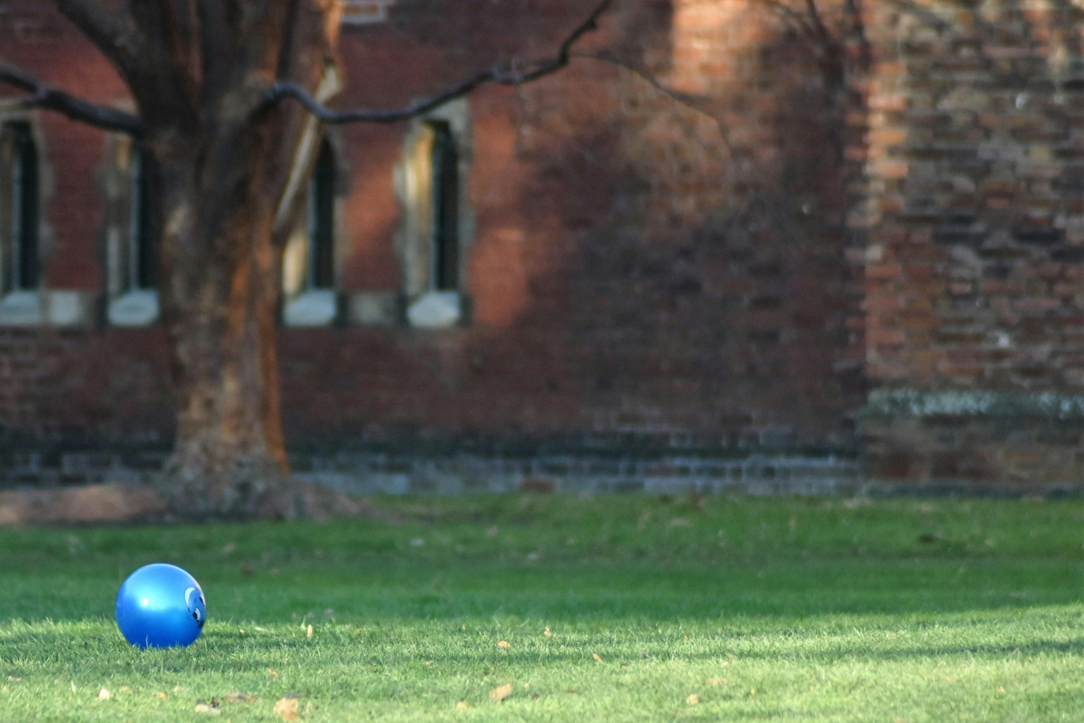 Free stock photo from Dora · Pexels