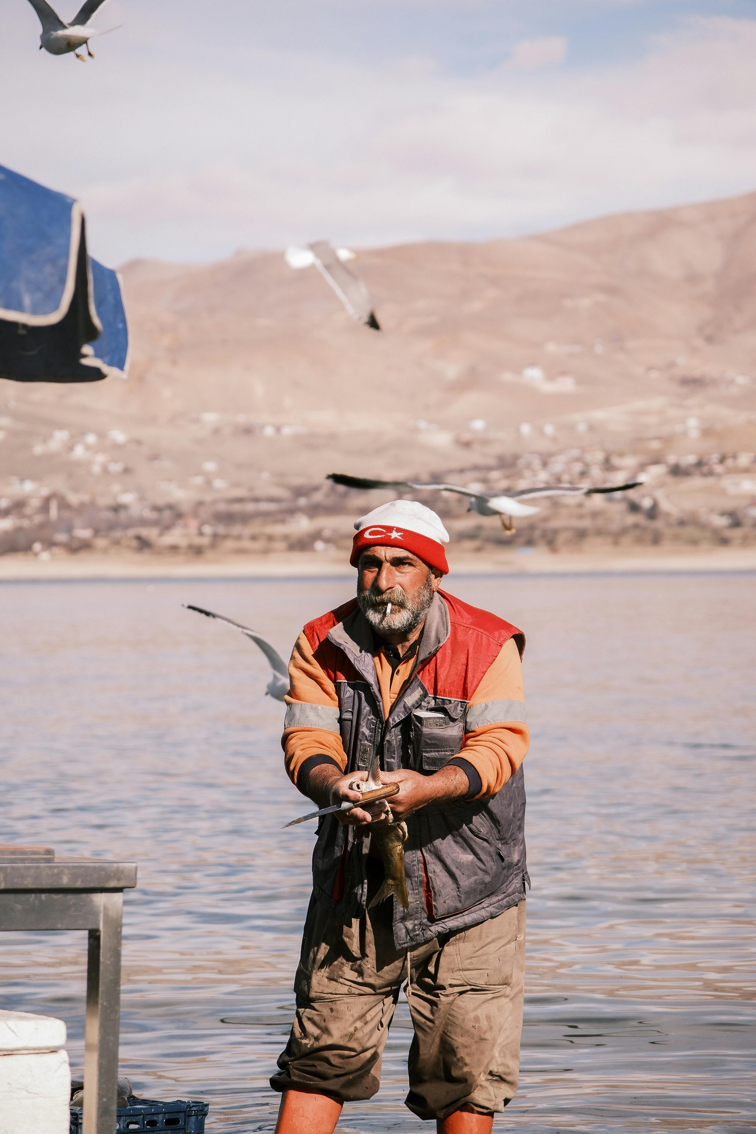 Kosher Fish Photos, Download The BEST Free Kosher Fish Stock Photos ...