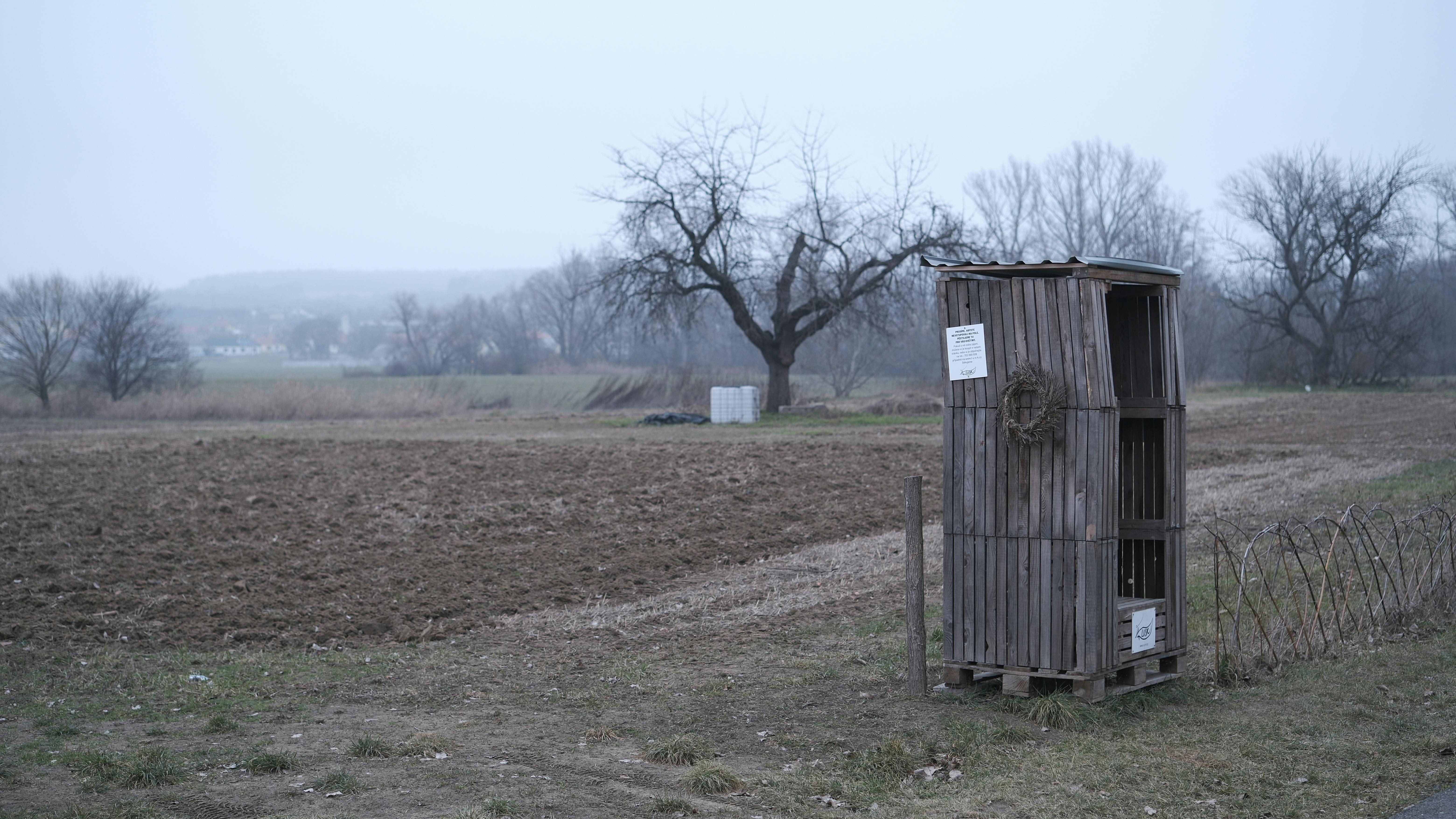 Rustic Wooden Shack in Czech Countryside · Free Stock Photo