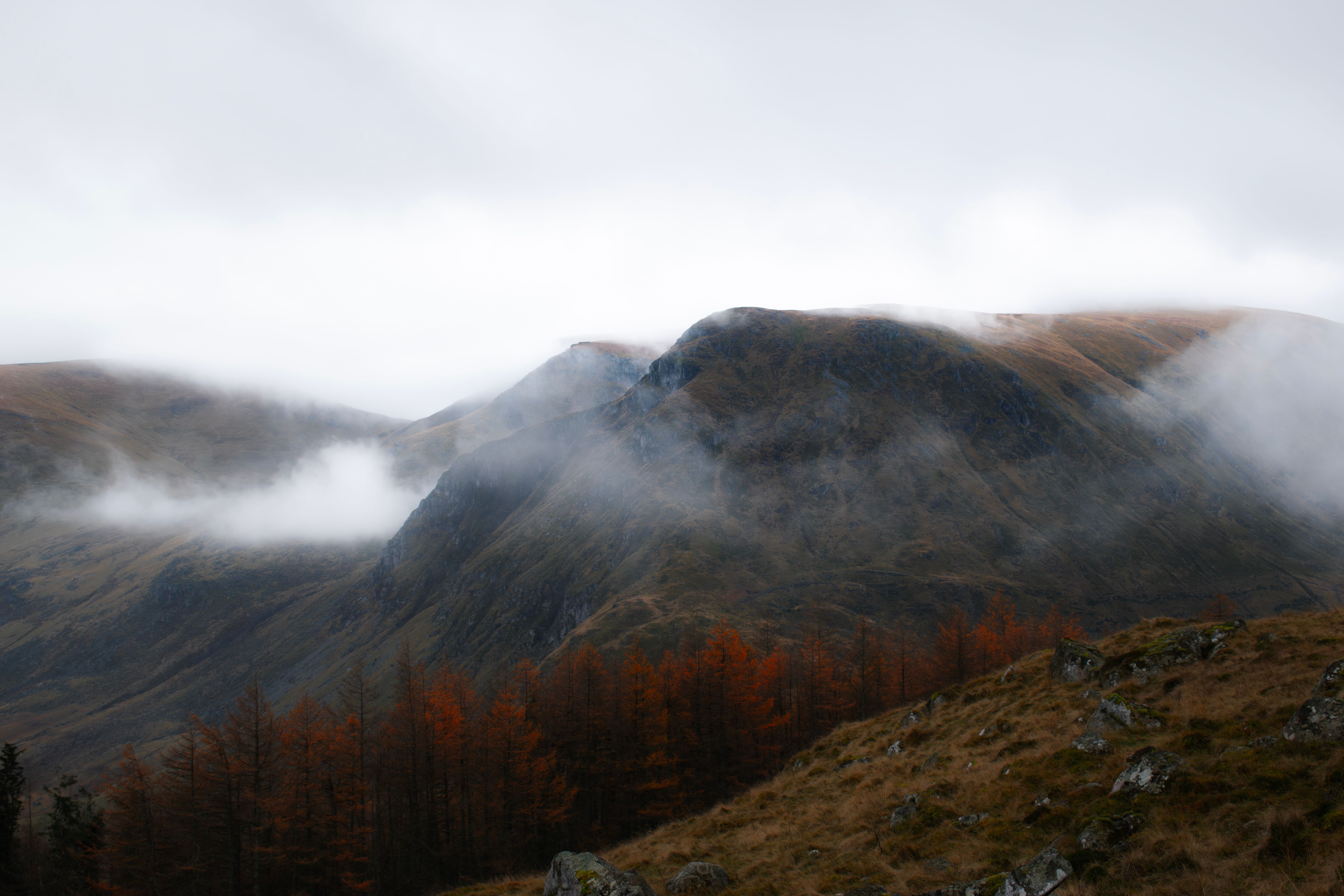 Misty Scottish Highlands Landscape in Autumn · Free Stock Photo