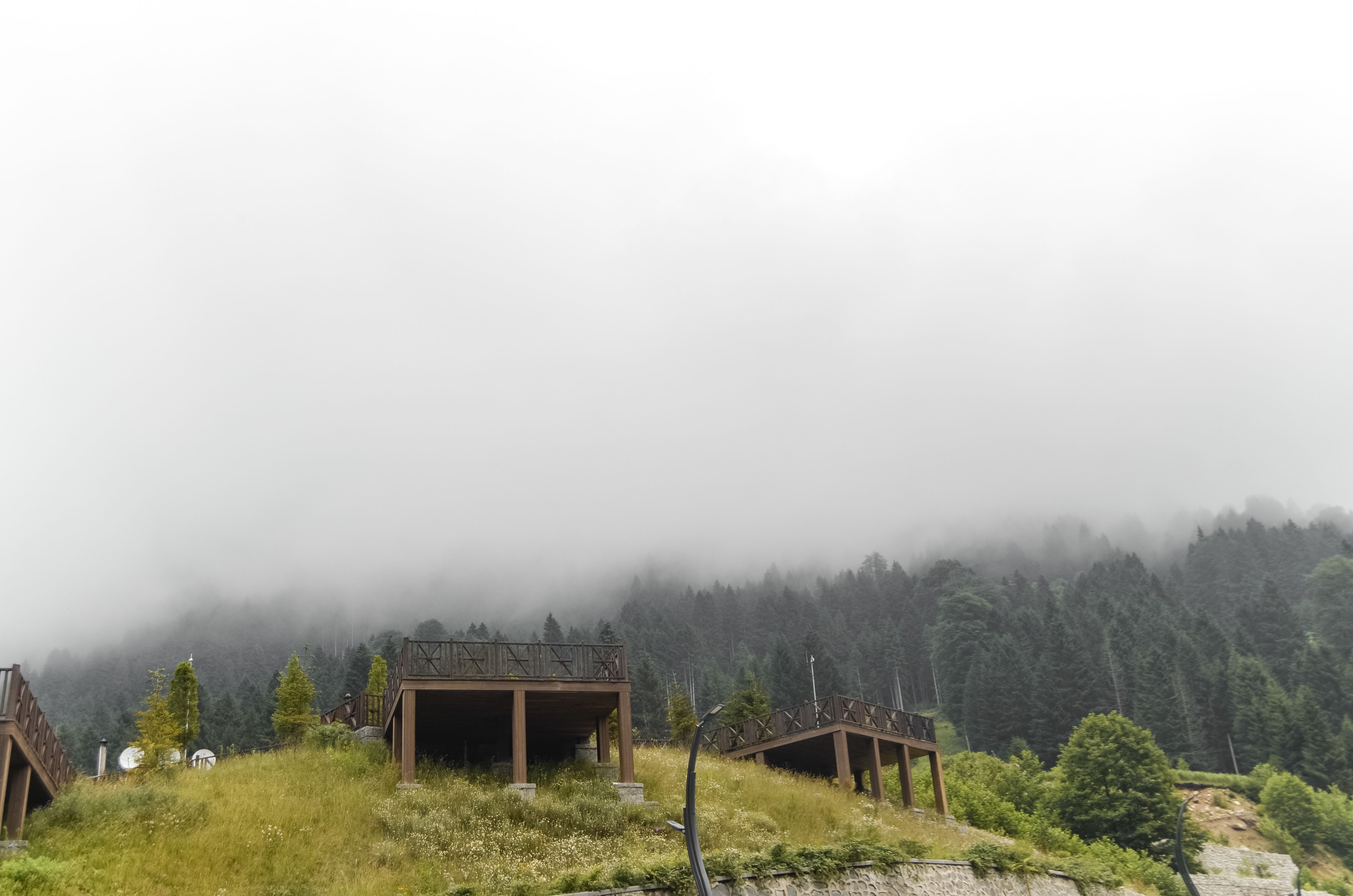 Foggy Forest Landscape with Wooden Structures · Free Stock Photo