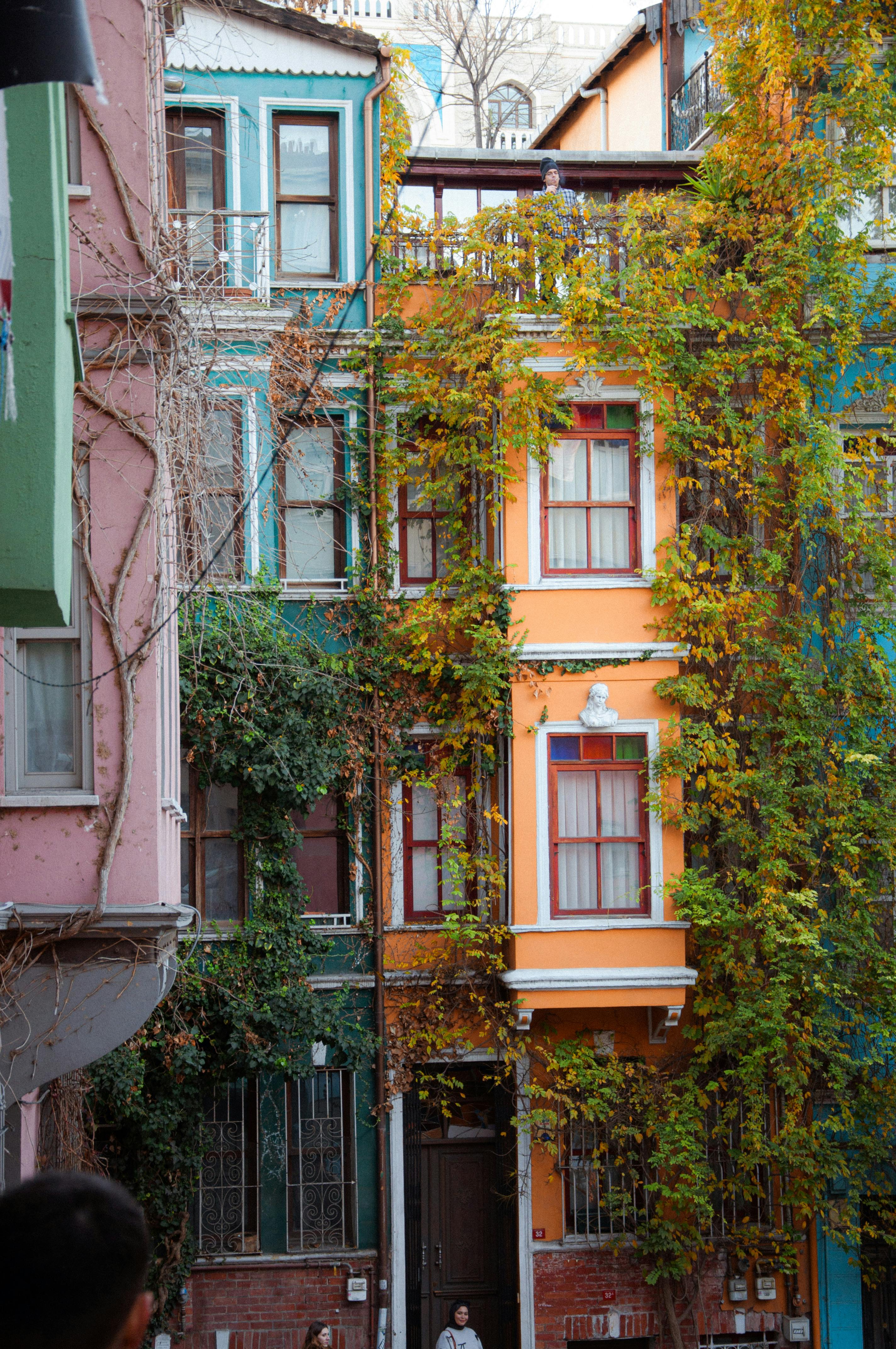 Colorful Istanbul Buildings with Foliage · Free Stock Photo