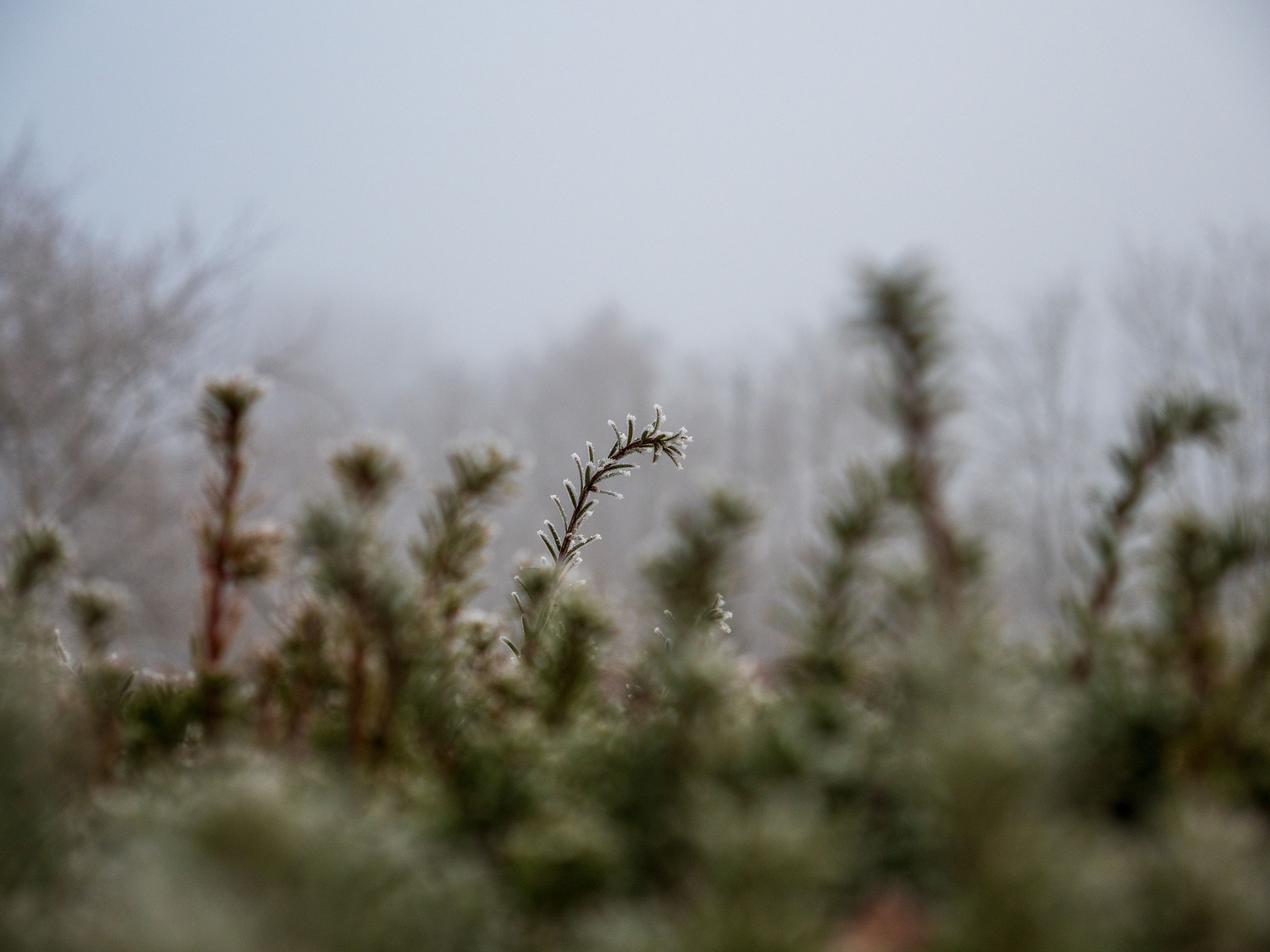 Grey Blurry Background Photos, Download The BEST Free Grey Blurry ...