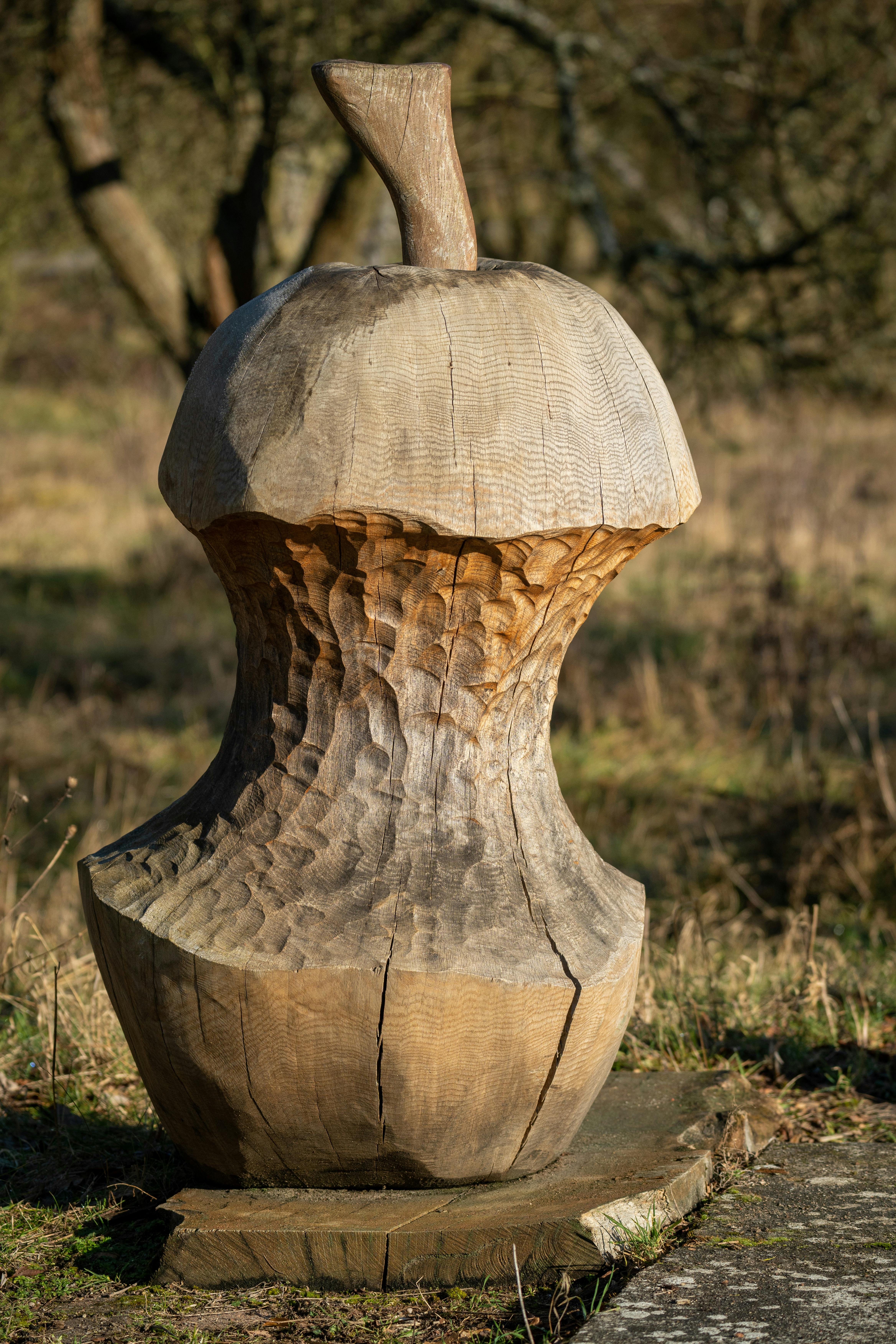 Wooden Apple Core Sculpture in Nature Setting · Free Stock Photo