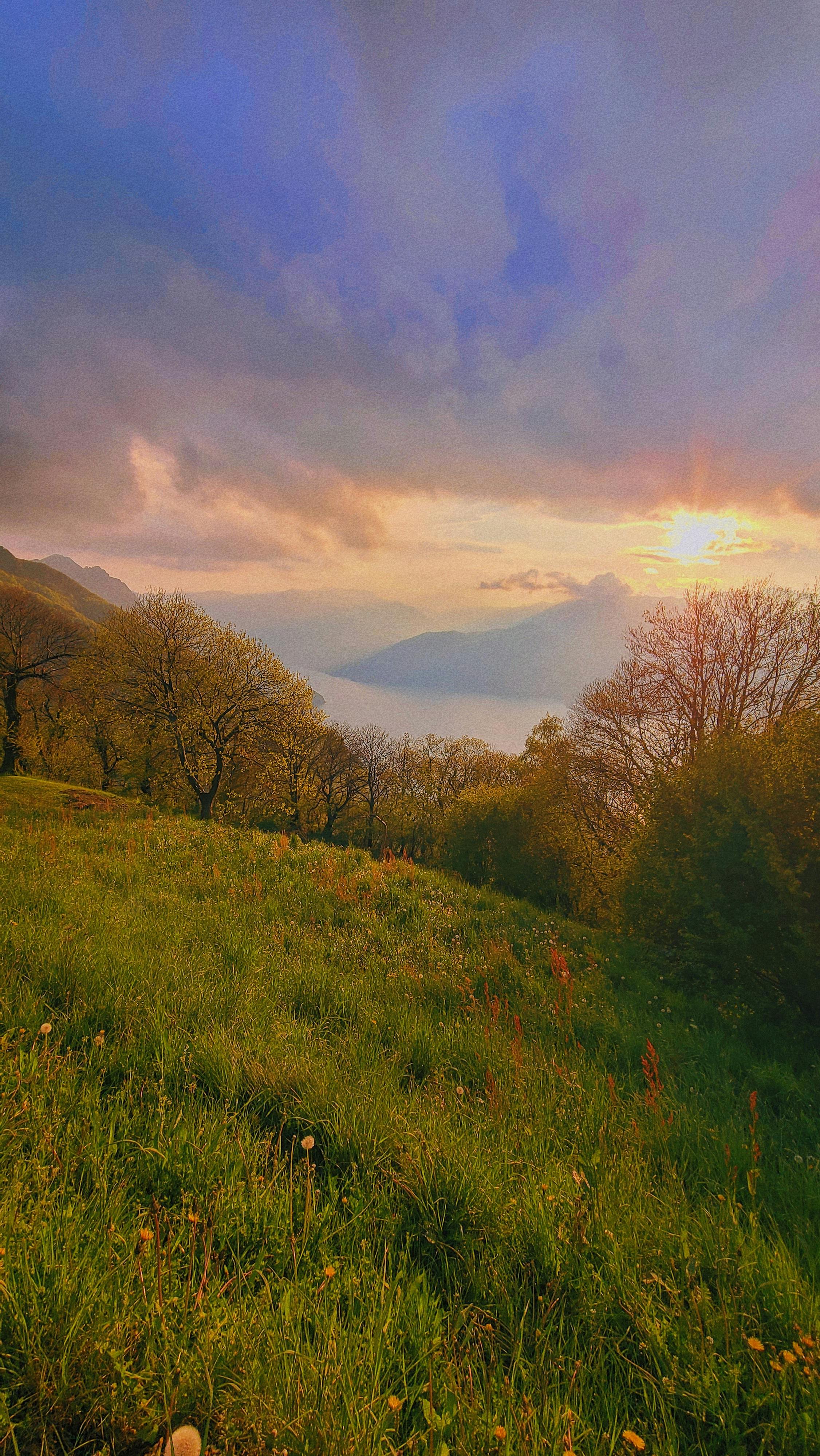 Spring Dusk Photos, Download The BEST Free Spring Dusk Stock Photos ...