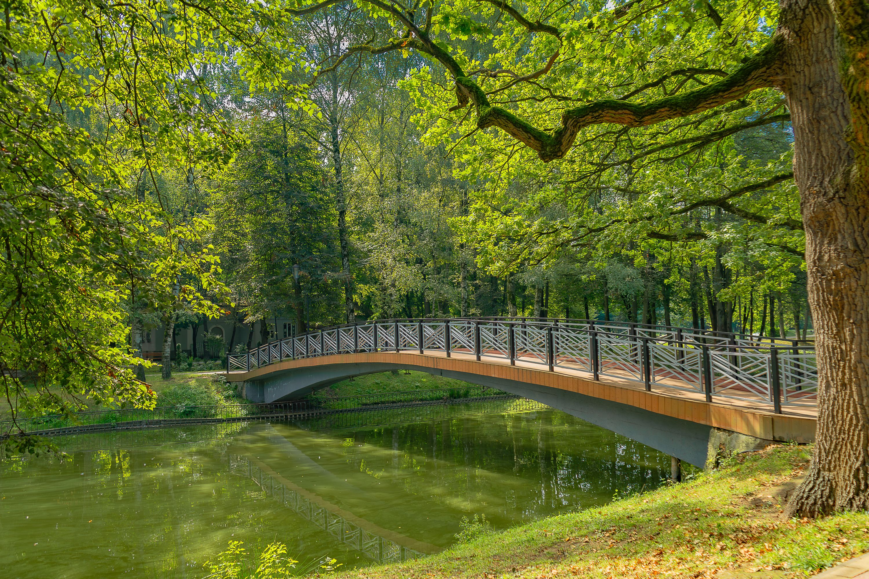 Lush Green Park with Scenic Bridge in Summer · Free Stock Photo