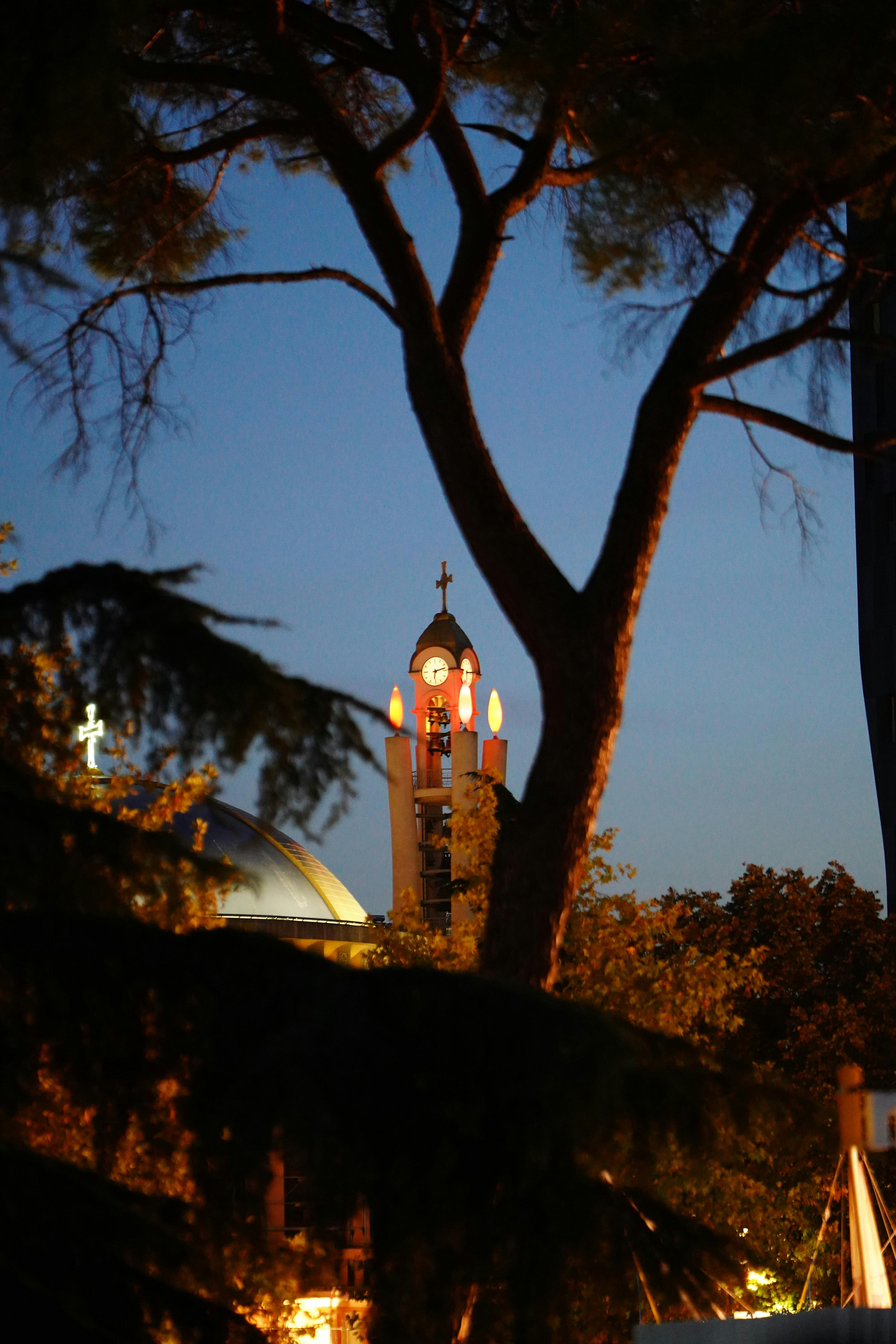 Scenic Church Tower at Dusk Through Trees · Free Stock Photo