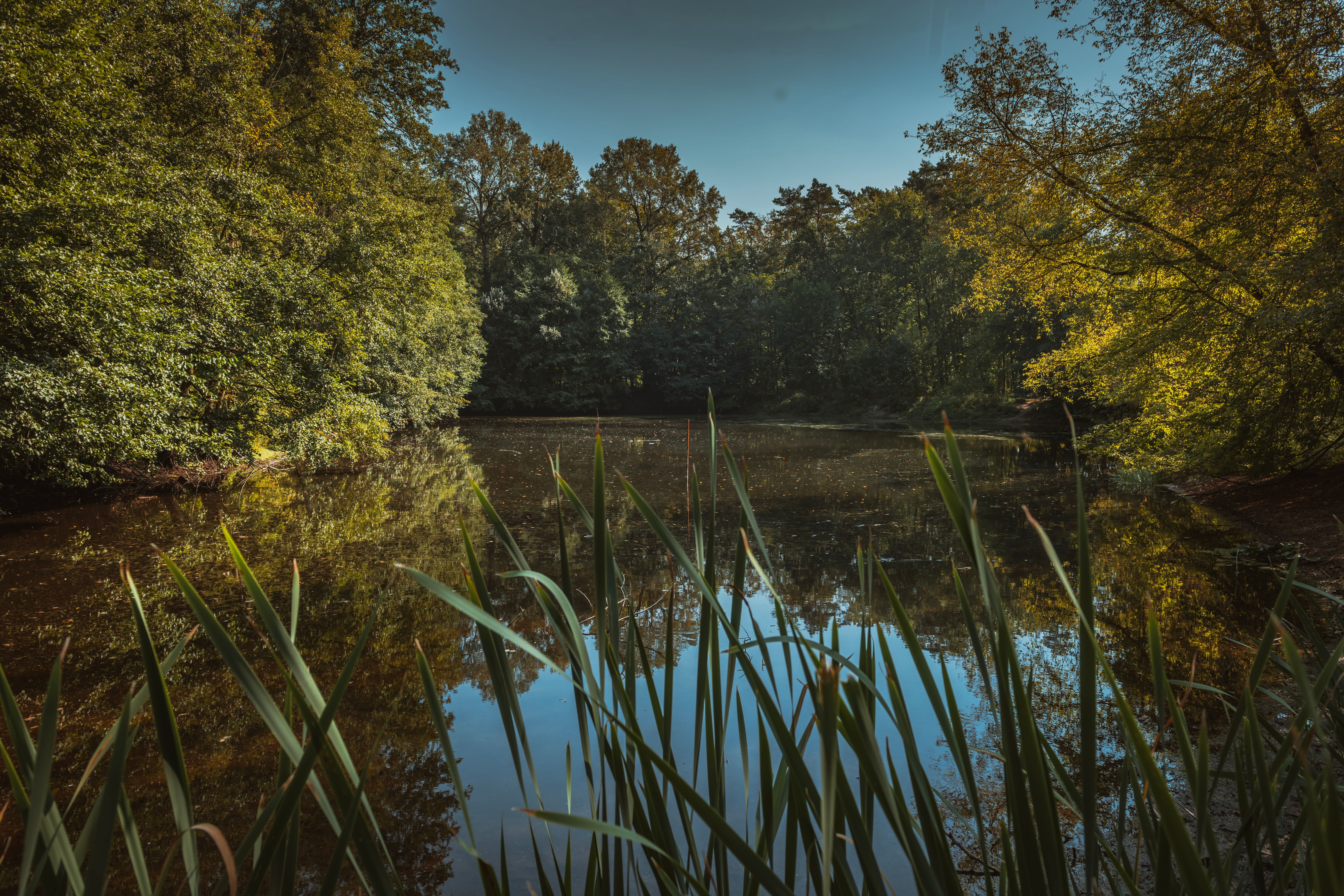 Earth Scene Photos, Download The BEST Free Earth Scene Stock Photos ...